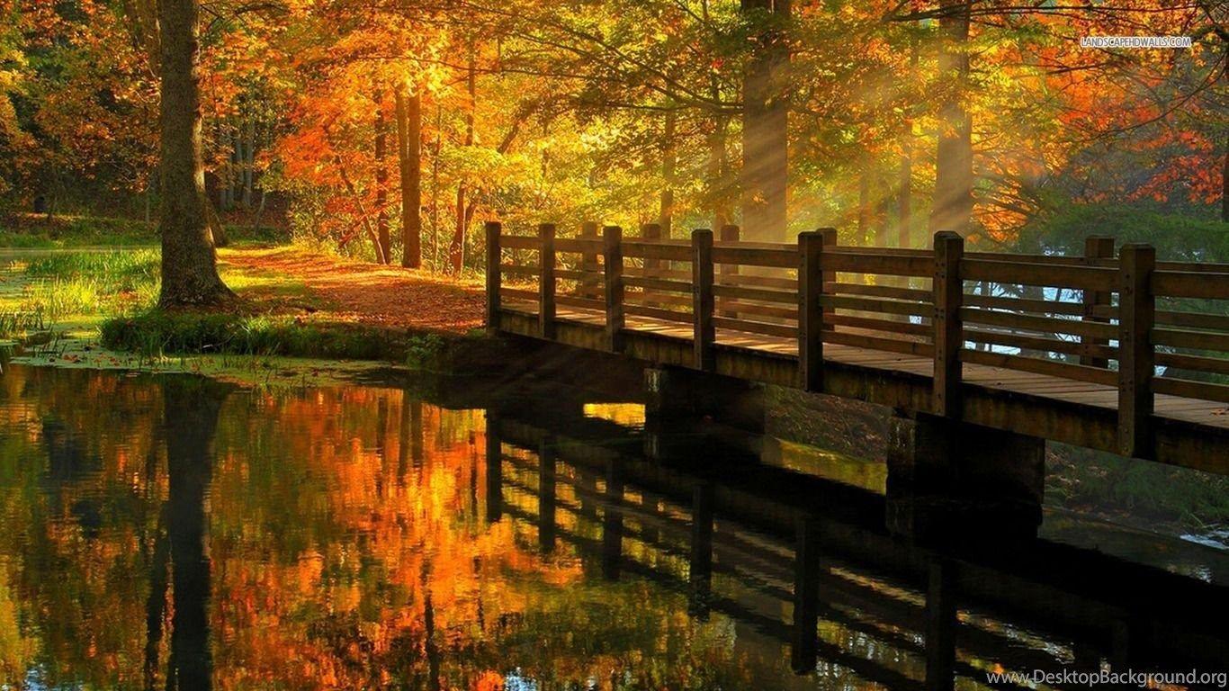 Wooden Bridge Wallpapers - Top Free Wooden Bridge Backgrounds ...
