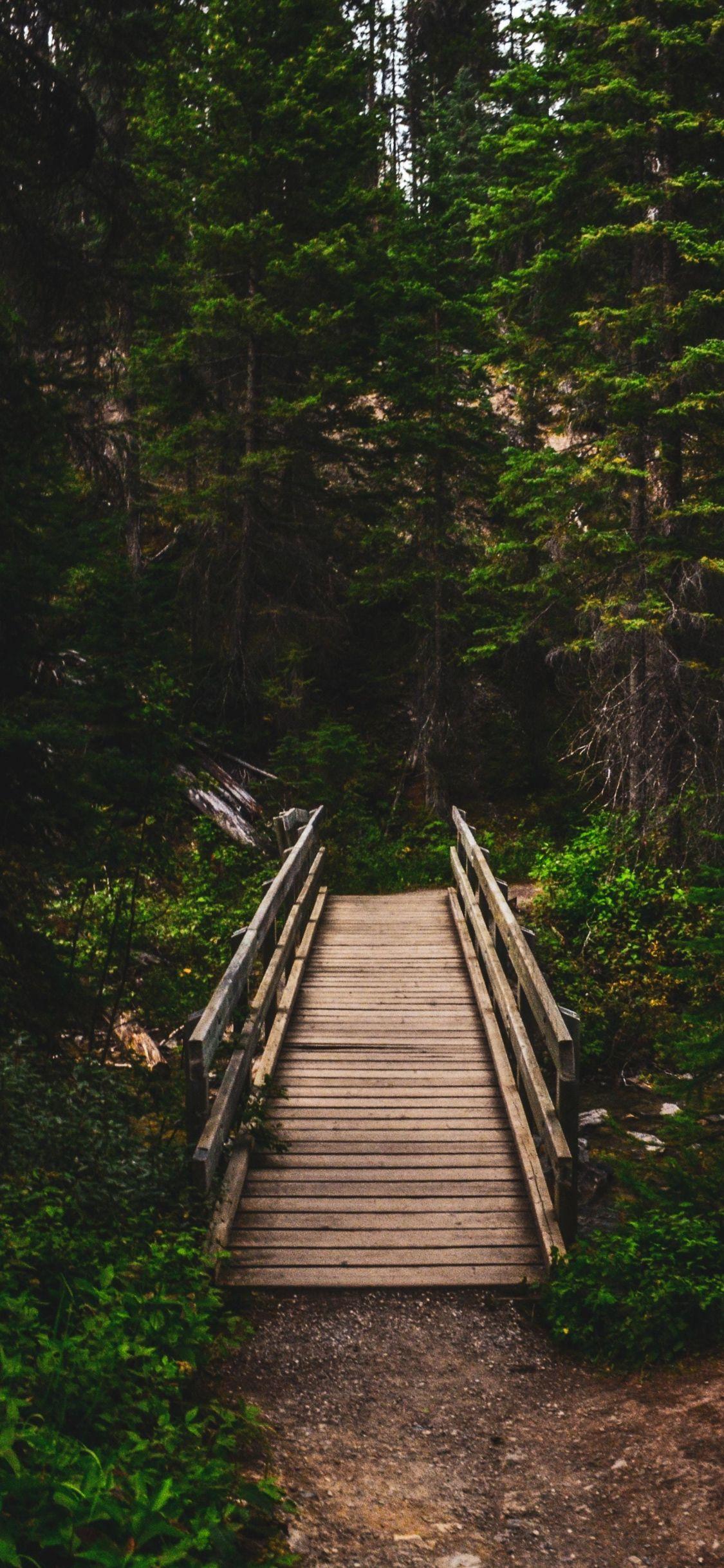 Wooden Bridge Wallpapers - Top Free Wooden Bridge Backgrounds ...