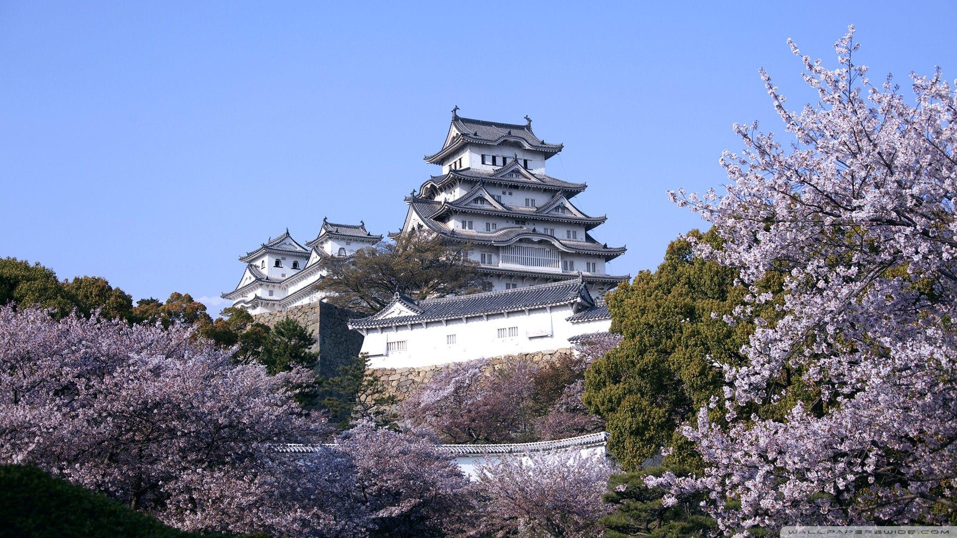 Japanese Castle Wallpapers - Top Free Japanese Castle Backgrounds ...