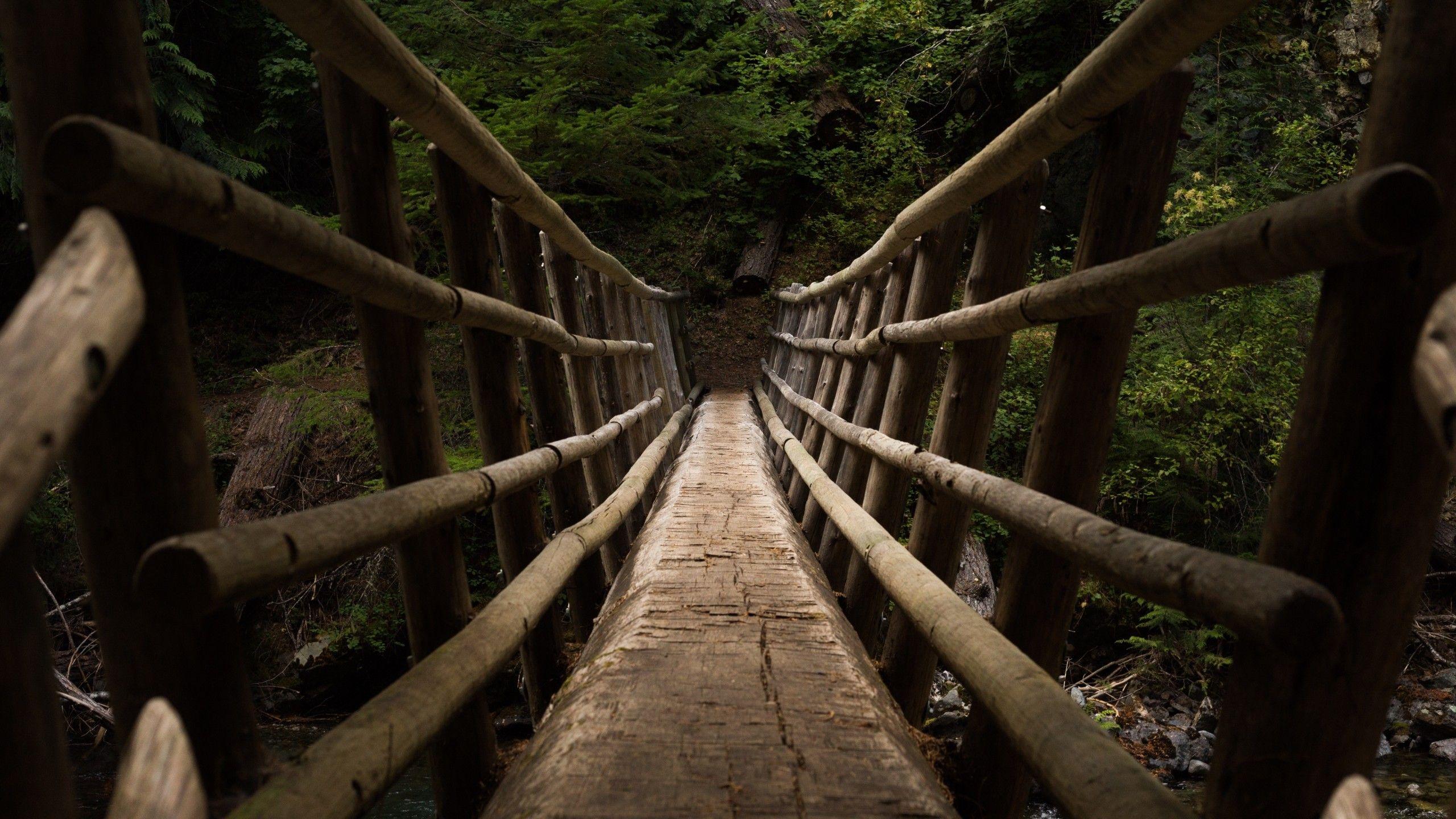 Wooden Bridge Wallpapers - Top Free Wooden Bridge Backgrounds ...