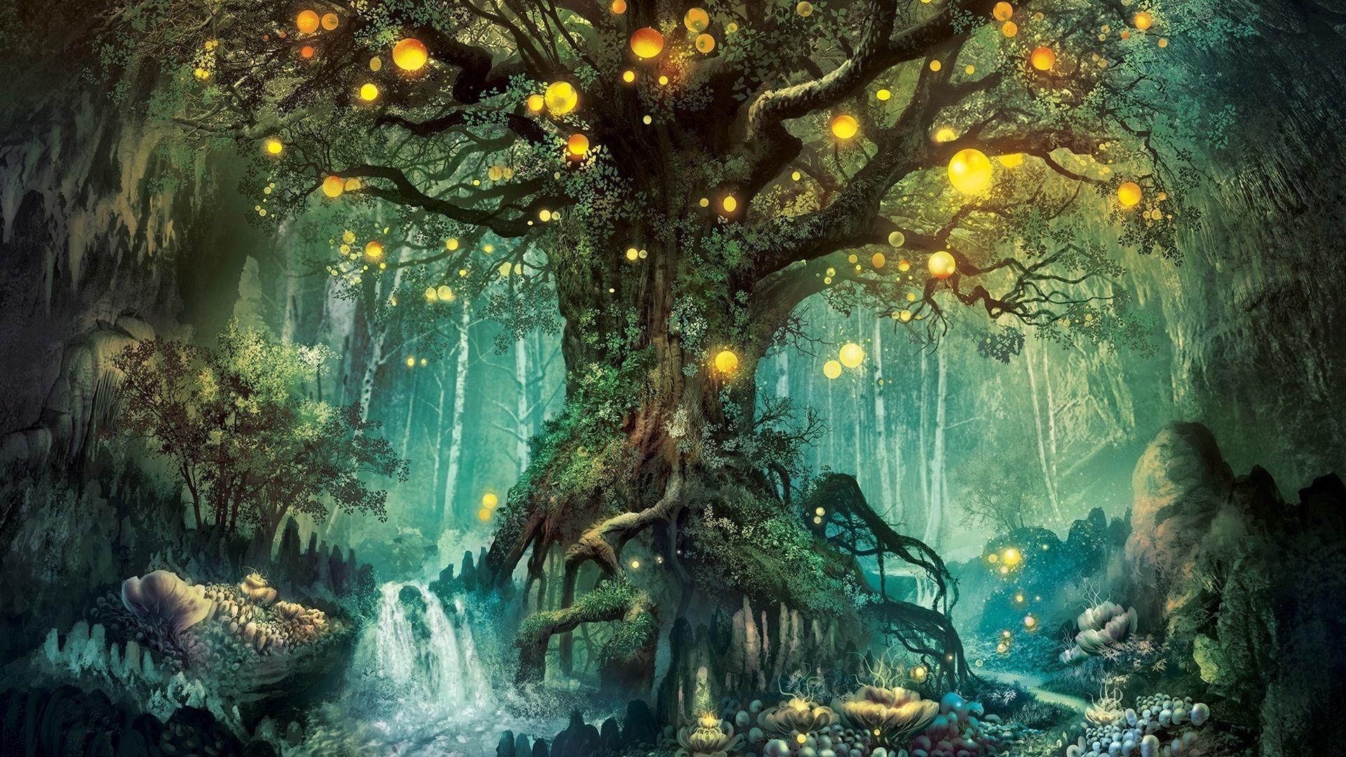 Fairy Forest Wallpapers Top Free Fairy Forest Backgrounds Fairy Forest Wallpapers Top Free Fairy Forest Backgrounds