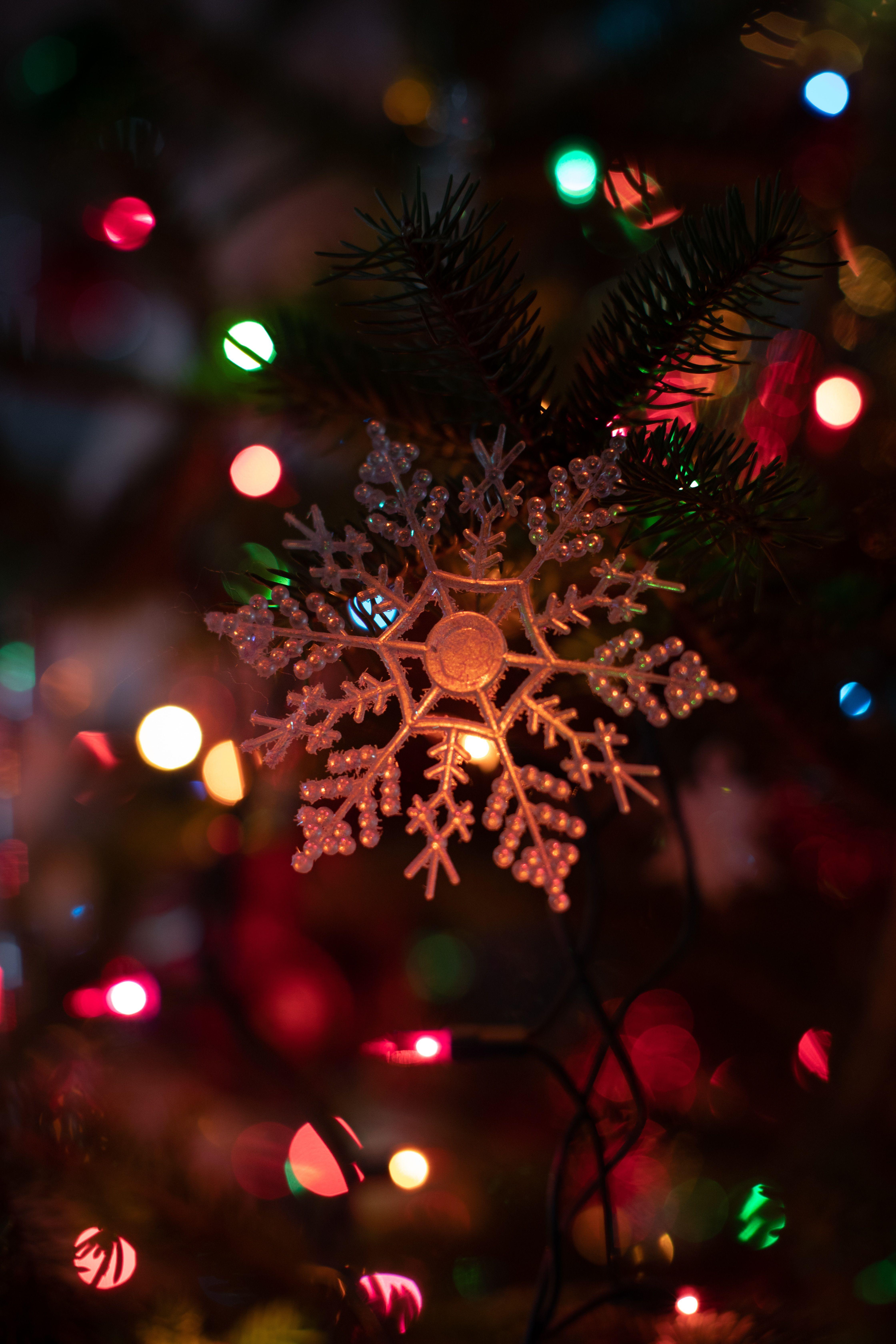 Ornament Wallpapers - Top Free Ornament Backgrounds - WallpaperAccess