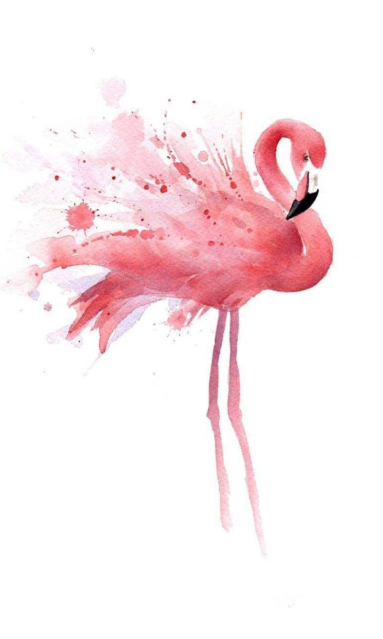 Pink Flamingo Wallpapers - Top Free Pink Flamingo Backgrounds ...