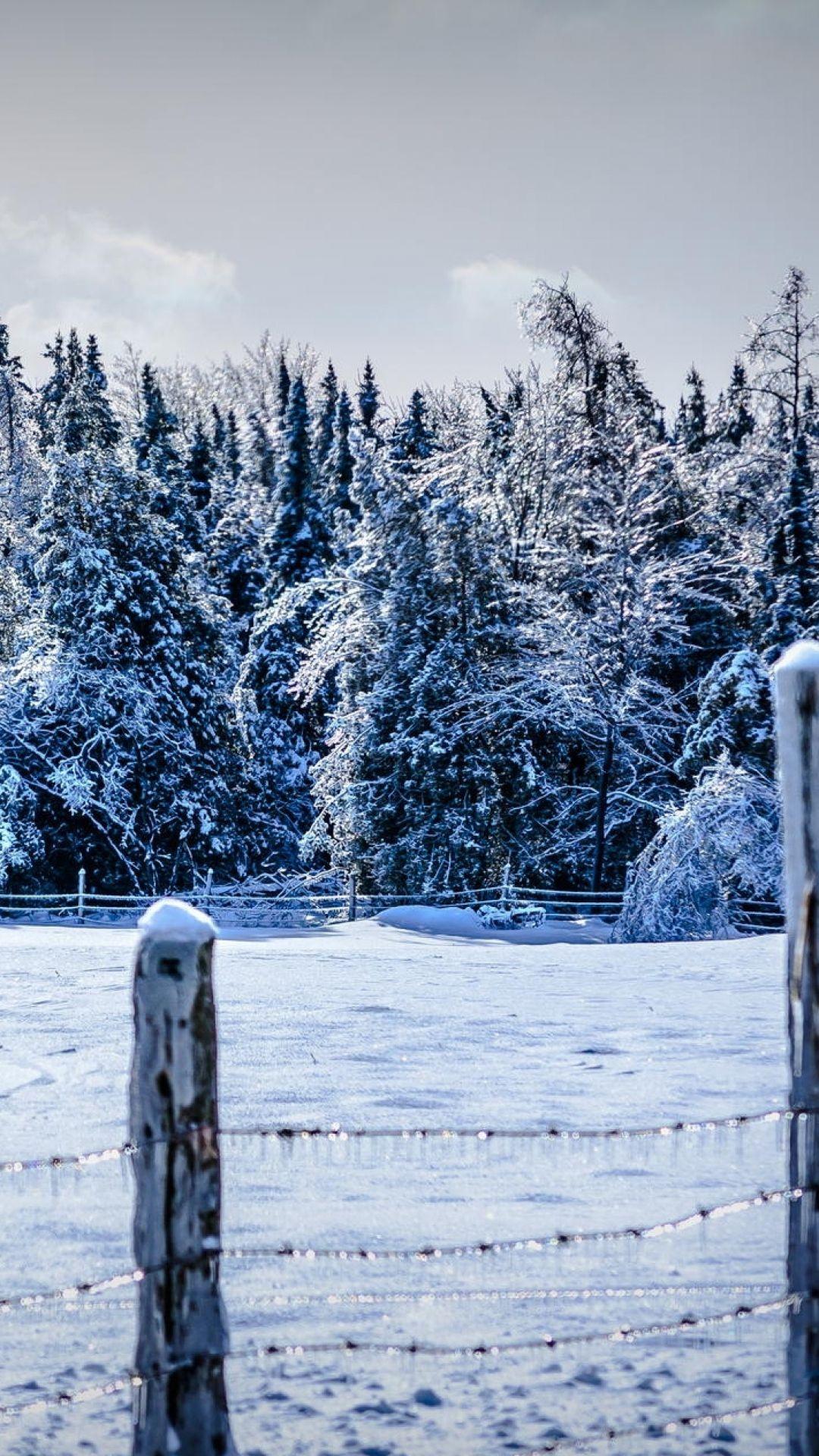 Snowy iPhone Wallpapers - Top Free Snowy iPhone Backgrounds ...