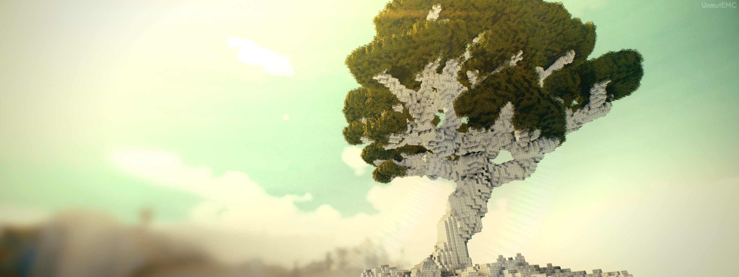 Big Tree Wallpapers - Top Free Big Tree Backgrounds - WallpaperAccess