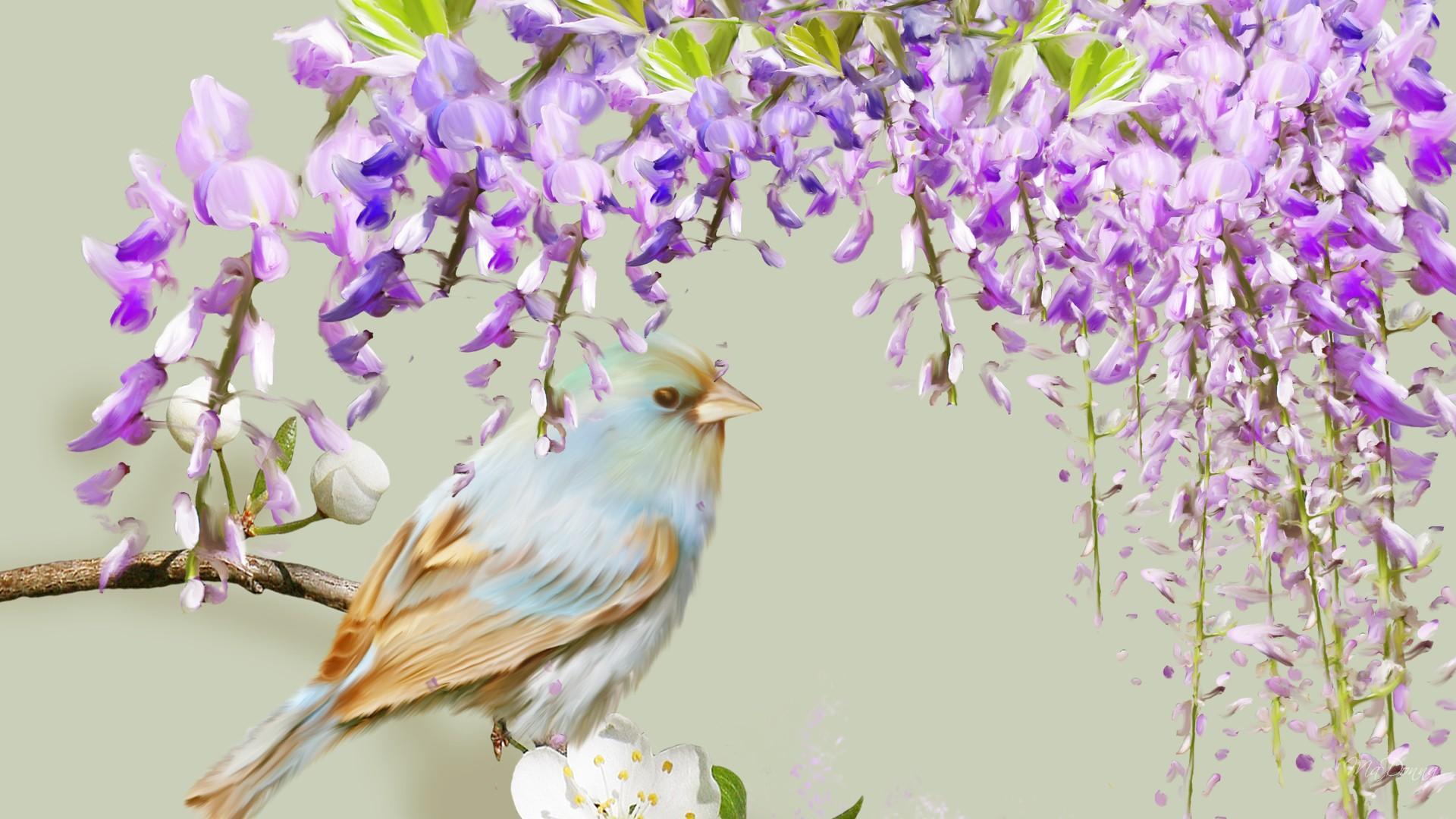 Wisteria Tree Wallpapers - Top Free Wisteria Tree Backgrounds ...