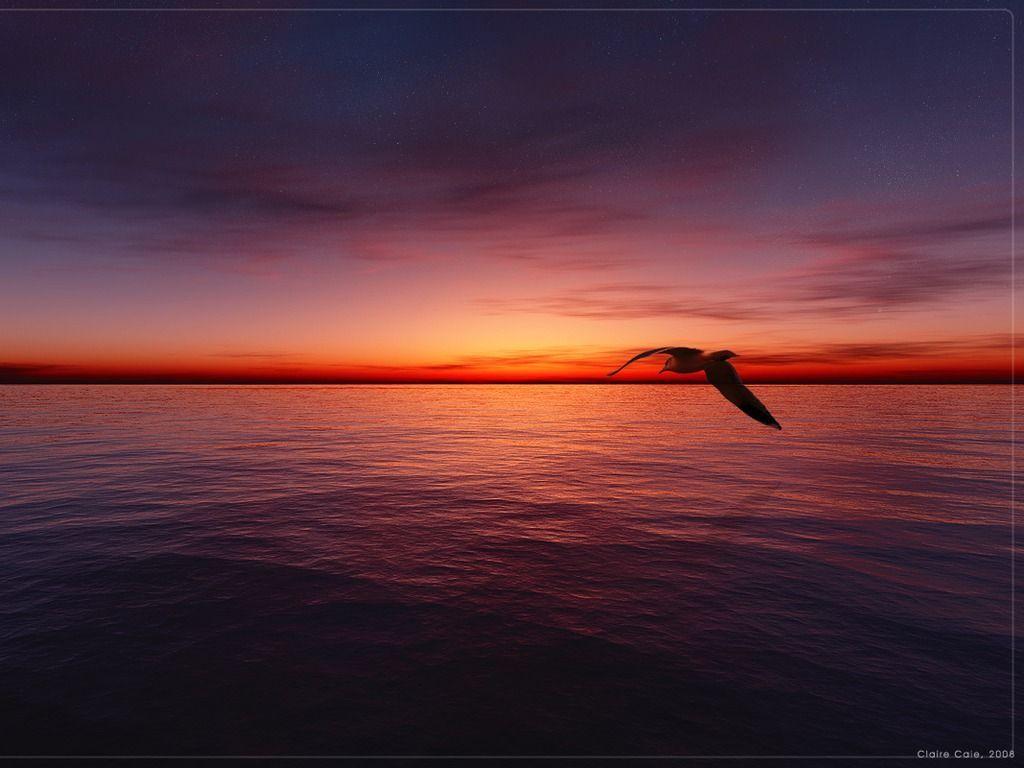 Calm Sunset Wallpapers - Top Free Calm Sunset Backgrounds - WallpaperAccess
