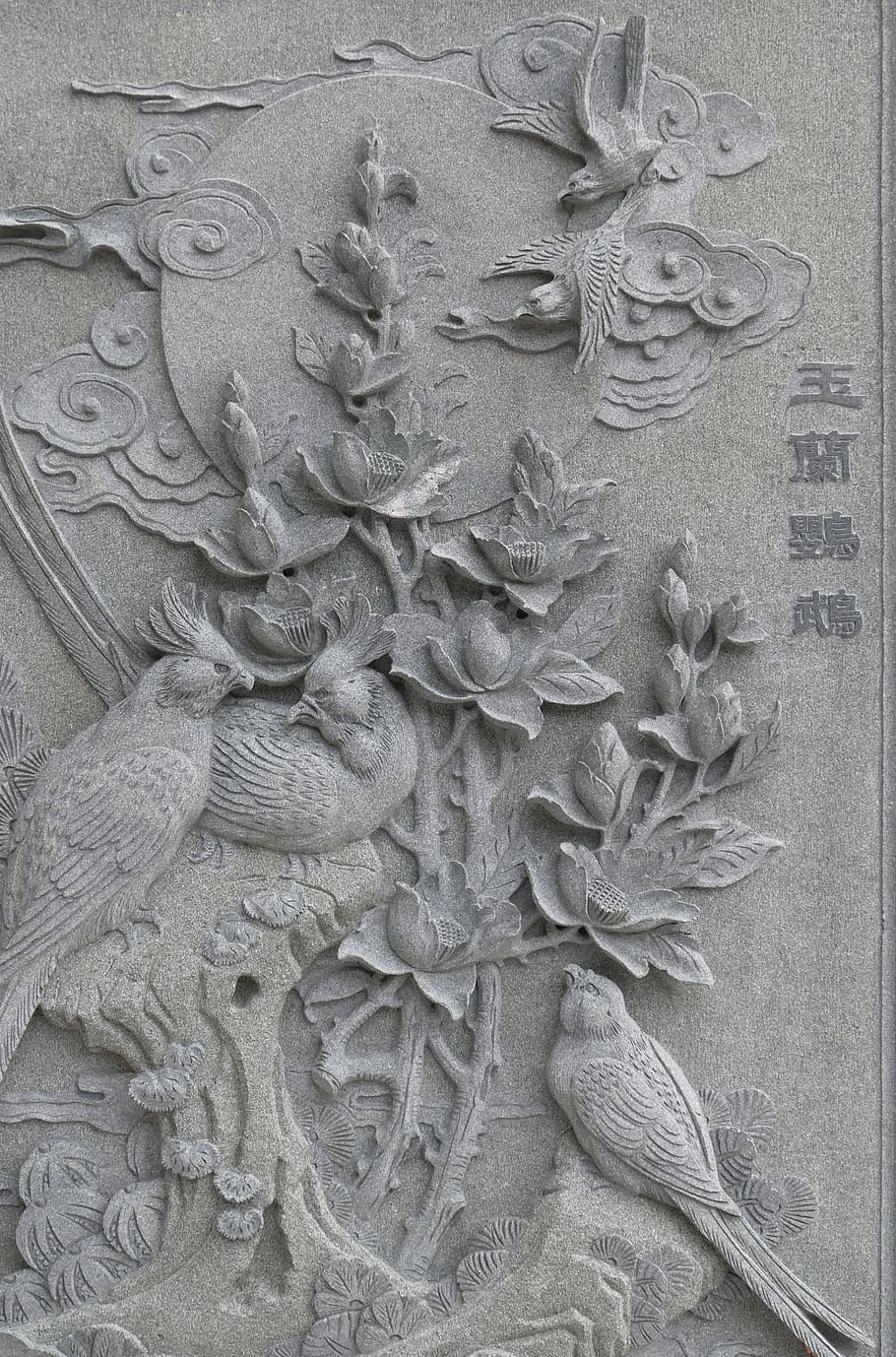 Taoism Wallpapers - Top Free Taoism Backgrounds - WallpaperAccess