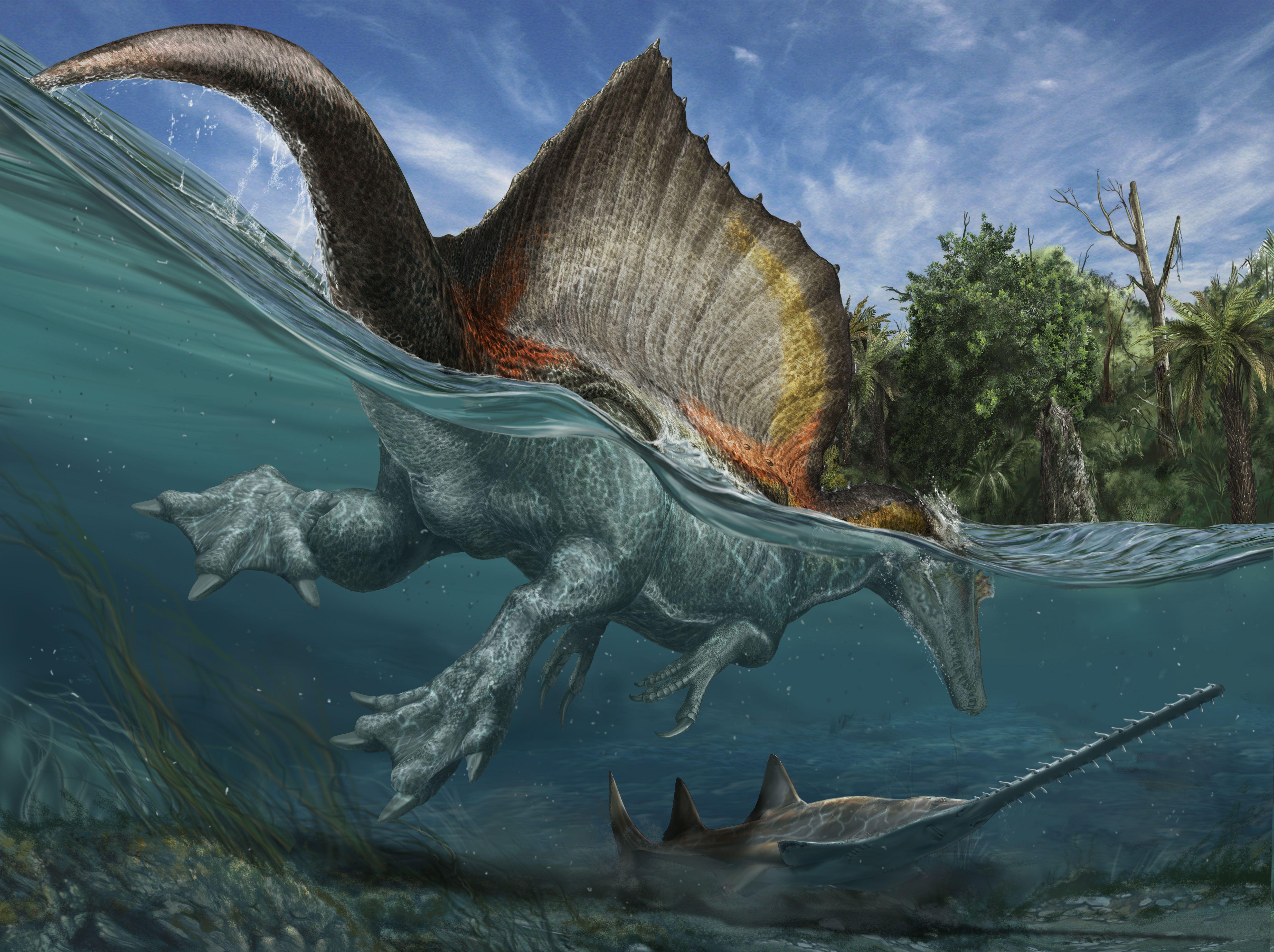 Spinosaurus Wallpapers - Top Free Spinosaurus Backgrounds - WallpaperAccess