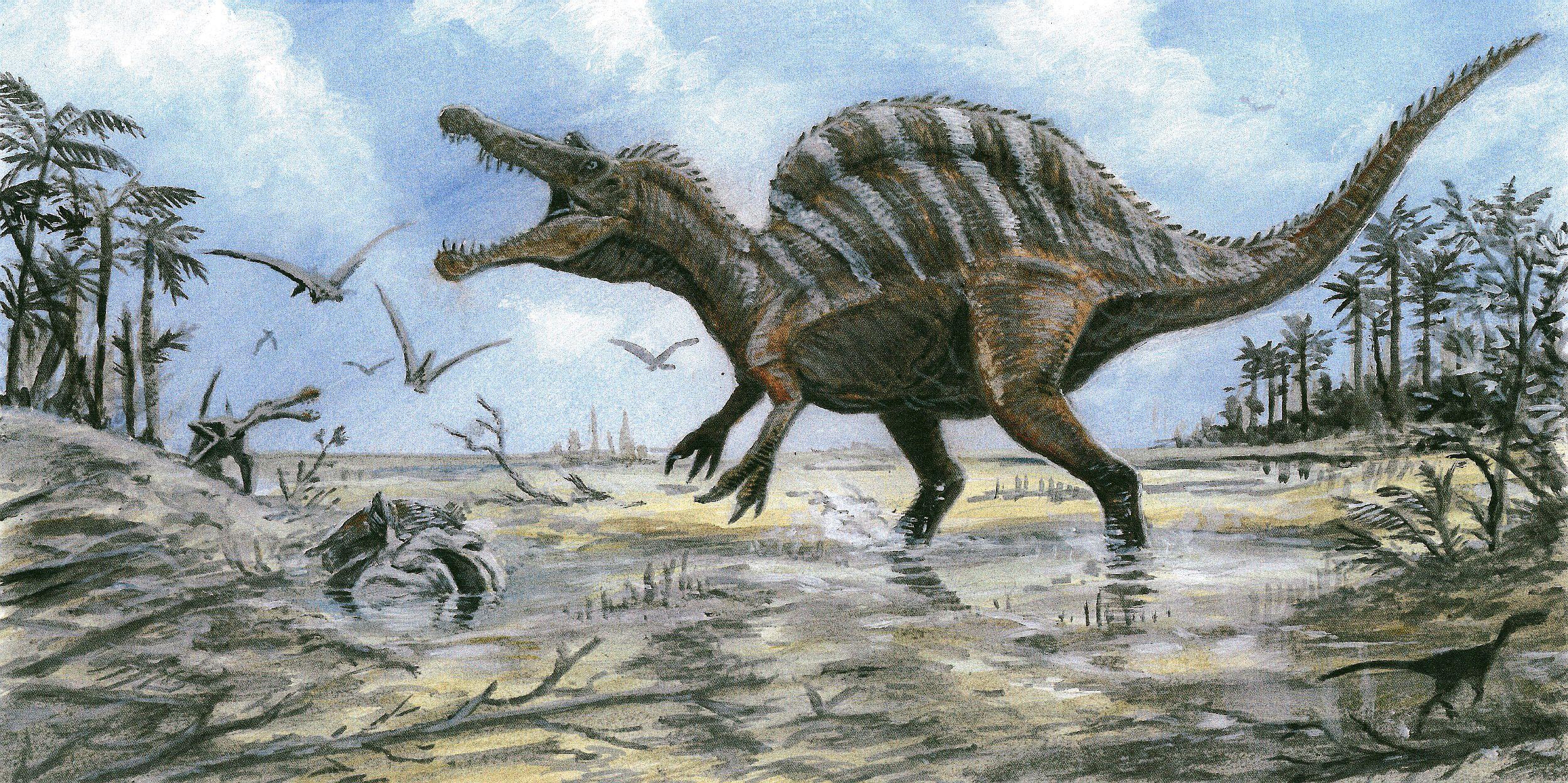 Spinosaurus Wallpapers - Top Free Spinosaurus Backgrounds - WallpaperAccess