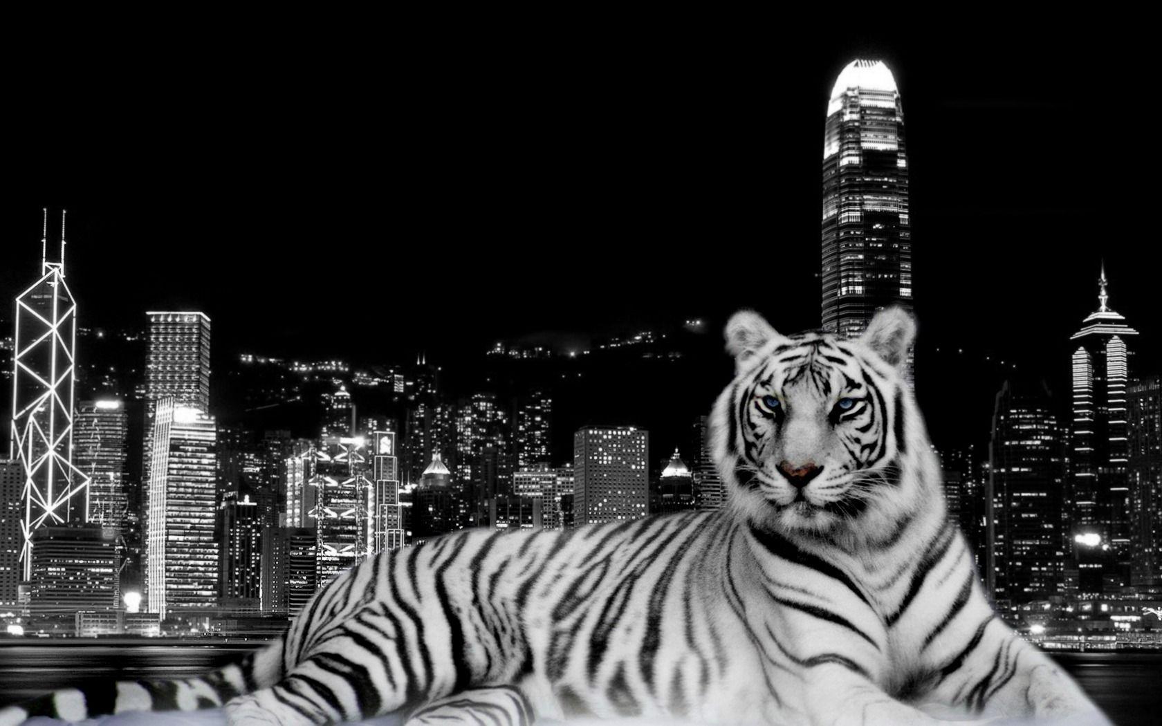 Dark Tiger Wallpapers - Top Free Dark Tiger Backgrounds - WallpaperAccess
