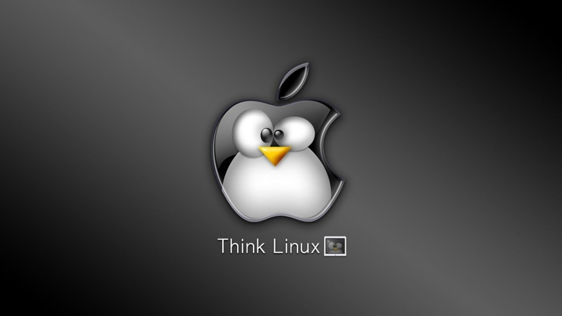 Linux Tux Wallpapers - Top Free Linux Tux Backgrounds - WallpaperAccess
