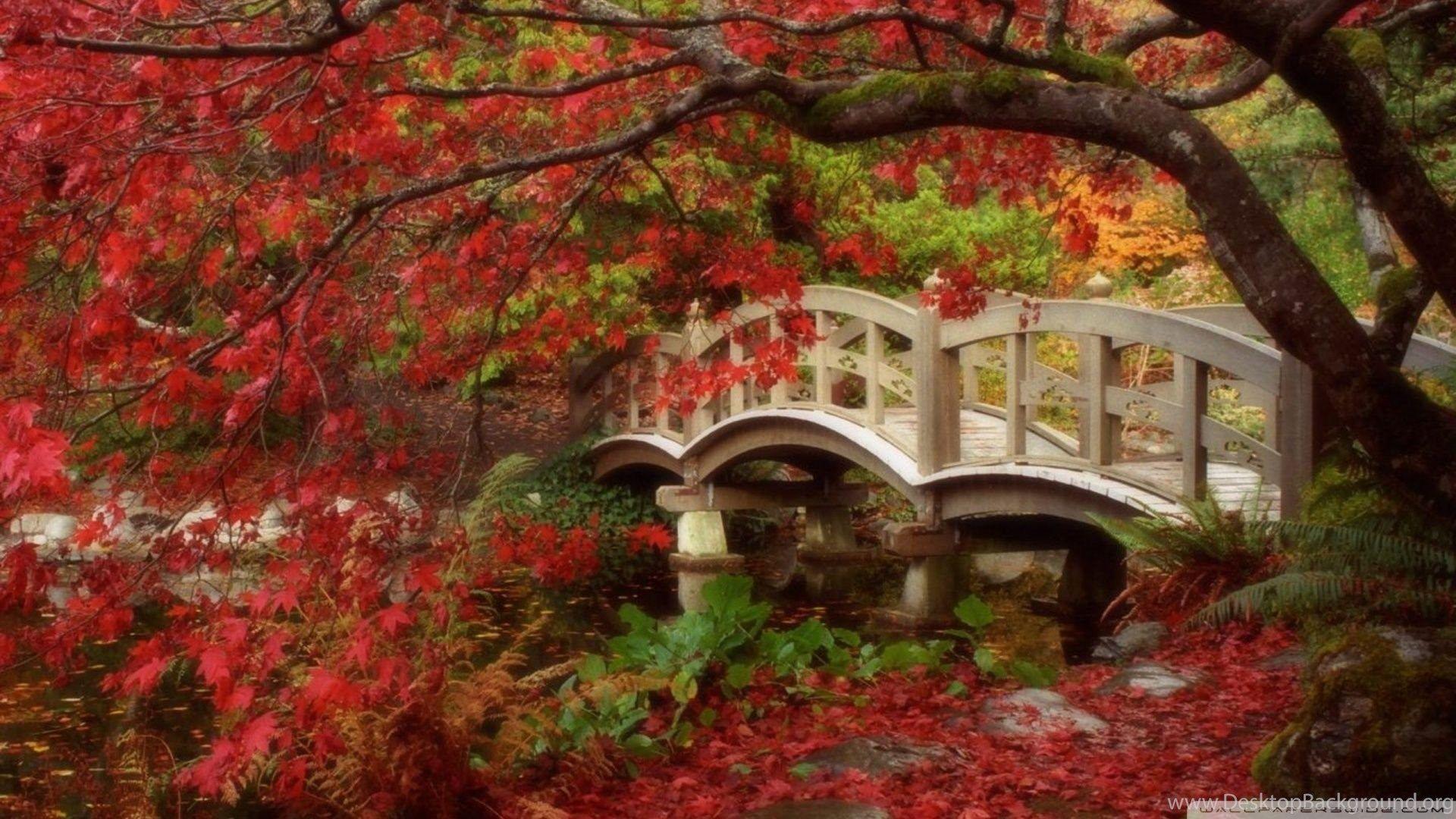Campus Wallpapers - Top Free Campus Backgrounds - WallpaperAccess