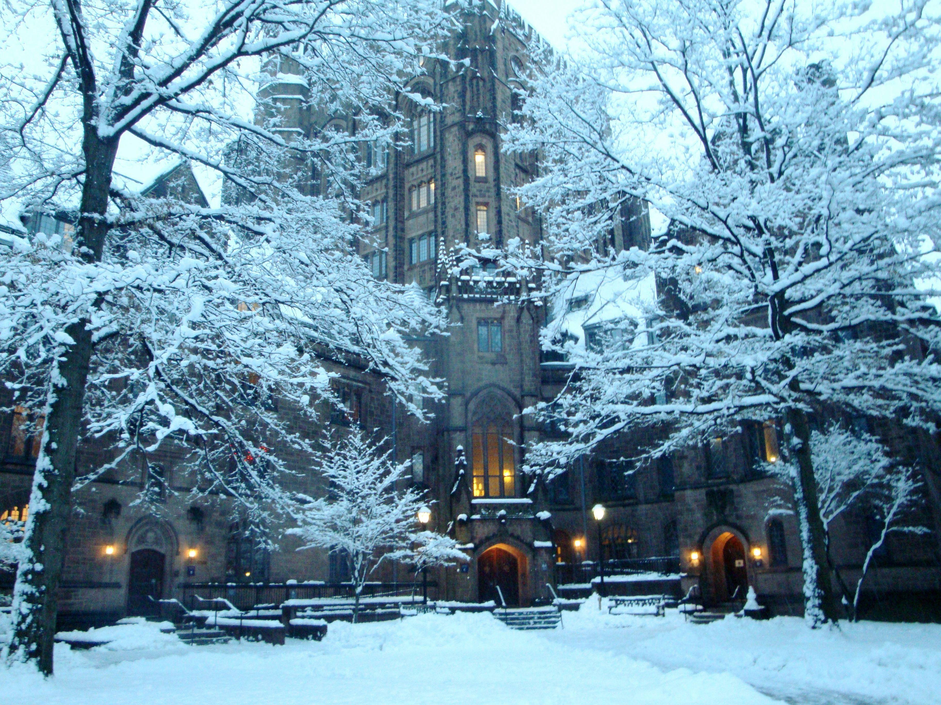 Yale University Wallpapers - Top Free Yale University Backgrounds ... Yale University Wallpapers - Top Free Yale University Backgrounds ...