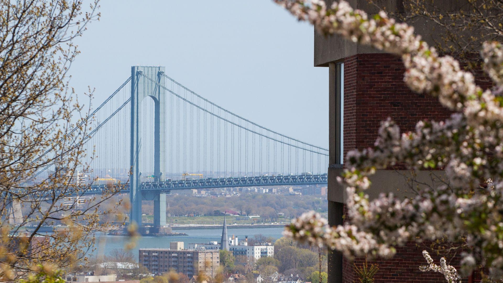 Campus Wallpapers - Top Free Campus Backgrounds - WallpaperAccess