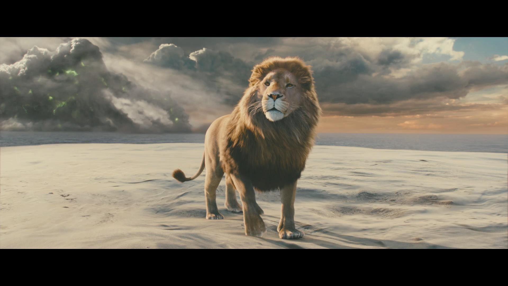 Narnia Desktop Wallpapers - Top Free Narnia Desktop Backgrounds ...