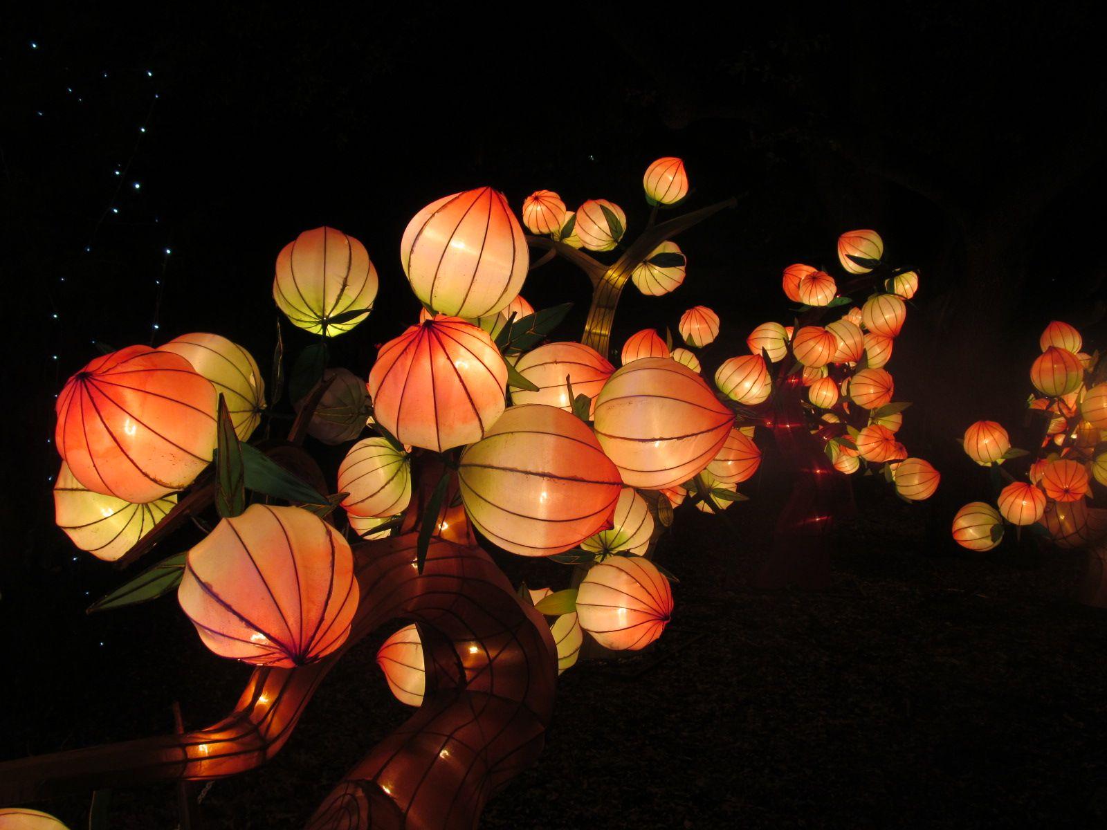 Paper Lantern Wallpapers - Top Free Paper Lantern Backgrounds ...