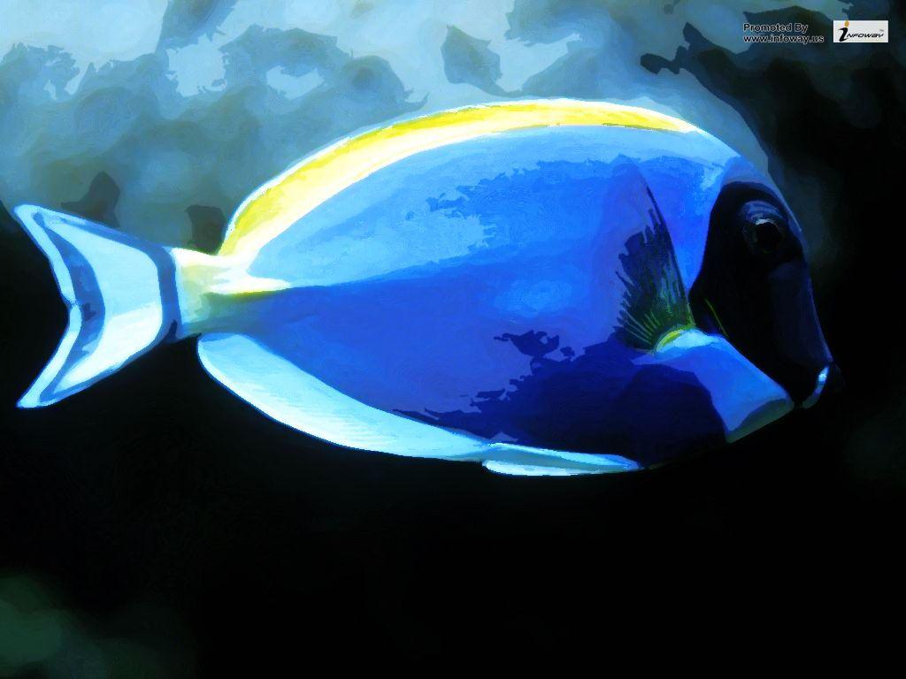 Blue Fish Wallpapers - Top Free Blue Fish Backgrounds - WallpaperAccess