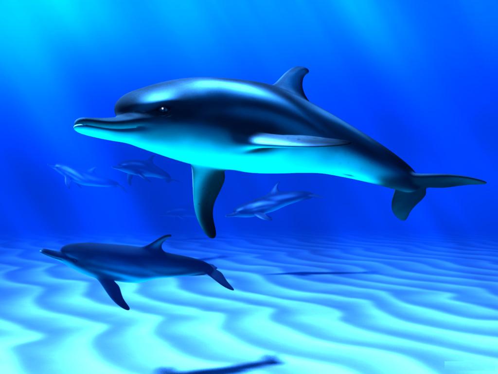 Blue Fish Wallpapers - Top Free Blue Fish Backgrounds - WallpaperAccess