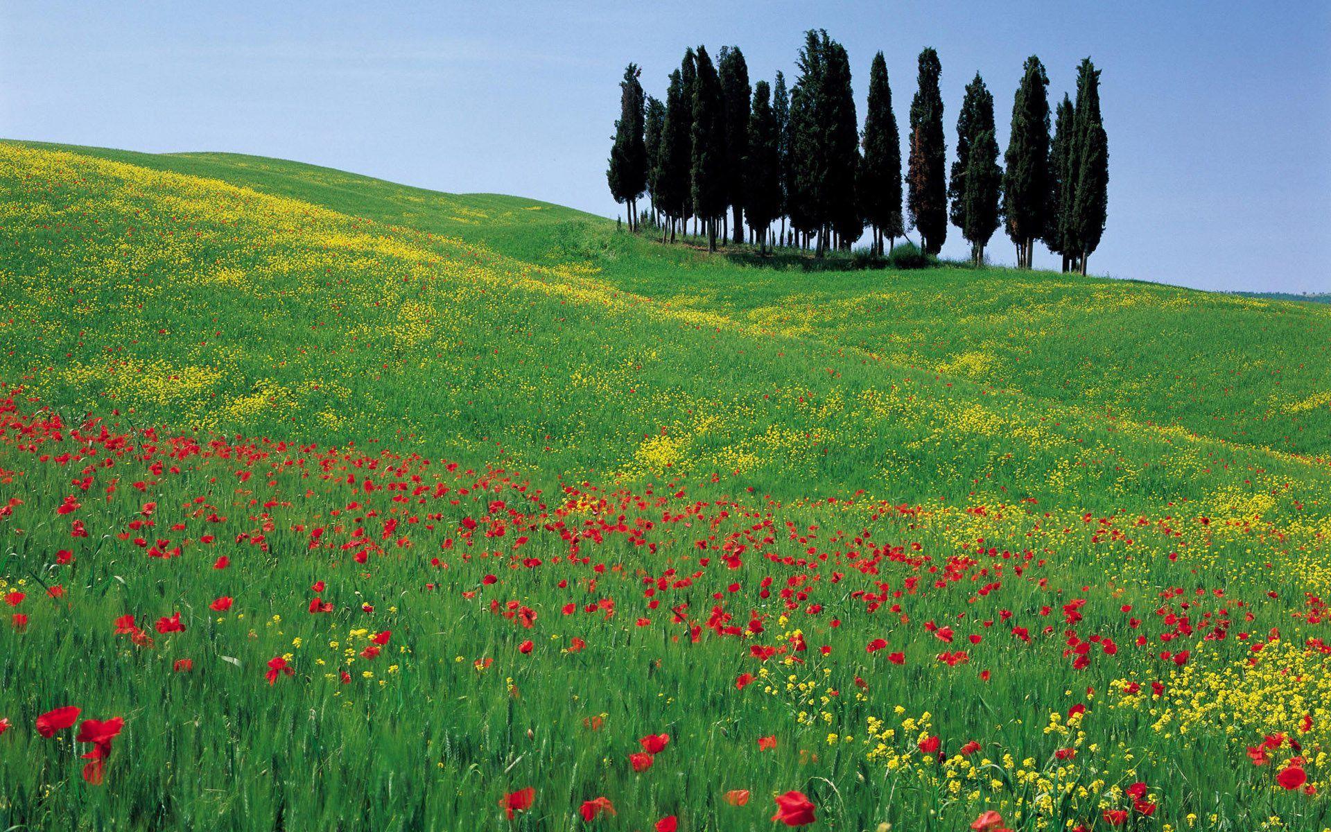 Italian Landscape Wallpapers - Top Free Italian Landscape Backgrounds ...