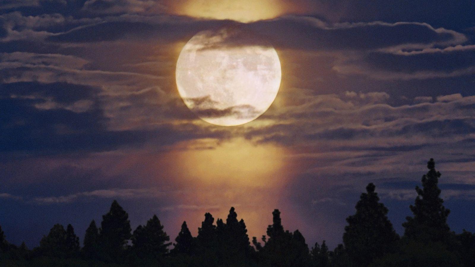 Moonlight Landscape Wallpapers - Top Free Moonlight Landscape ...