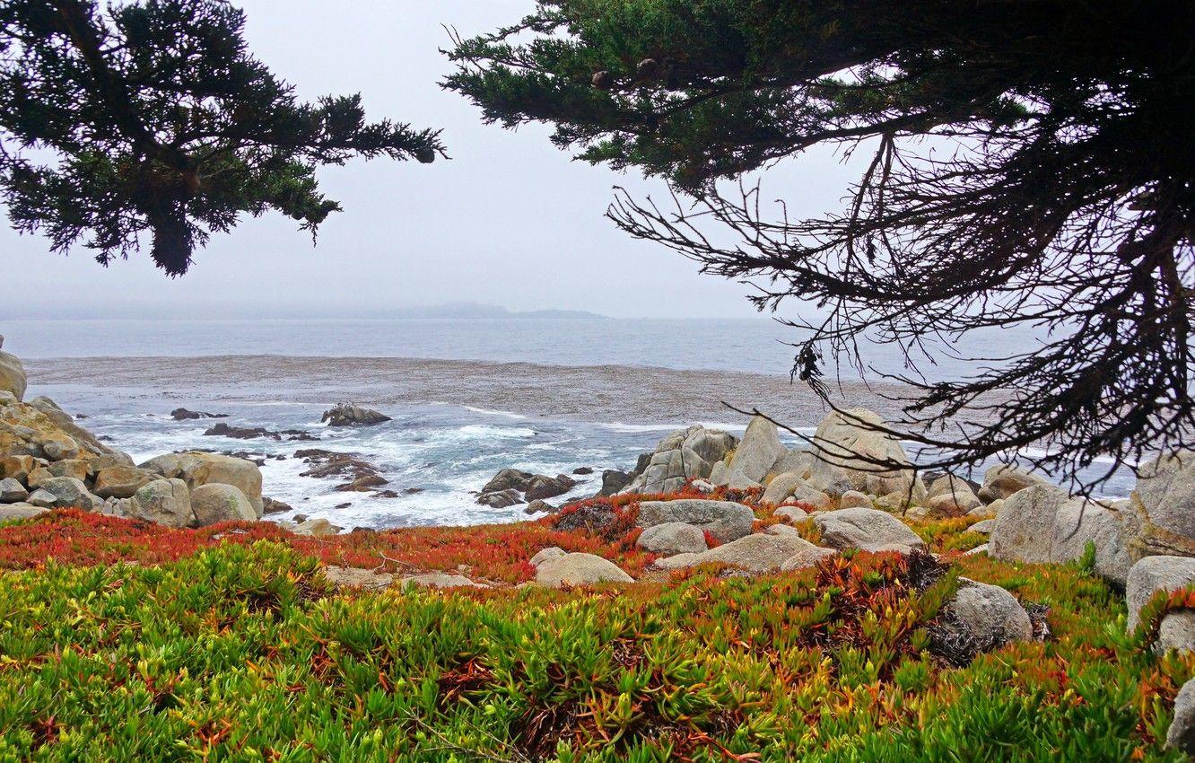 California Nature Wallpapers - Top Free California Nature Backgrounds ...