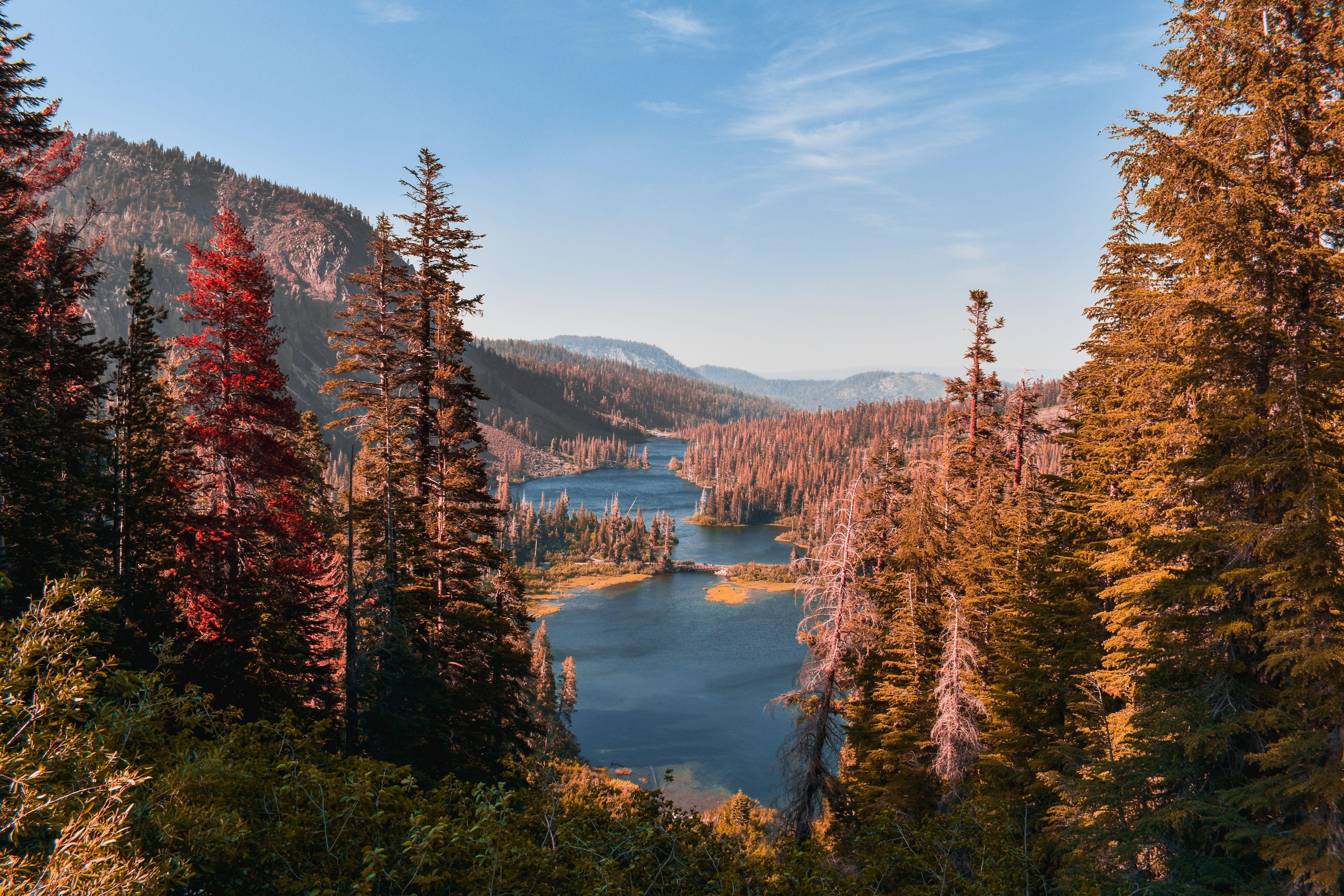 Surreal Landscape Wallpapers - Top Free Surreal Landscape Backgrounds ...