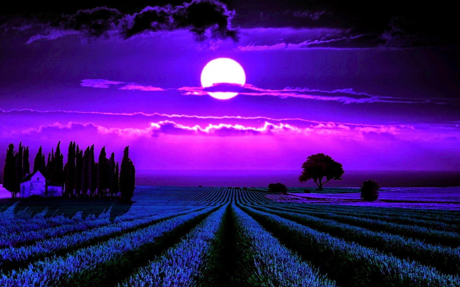 Moonlight Landscape Wallpapers - Top Free Moonlight Landscape ...