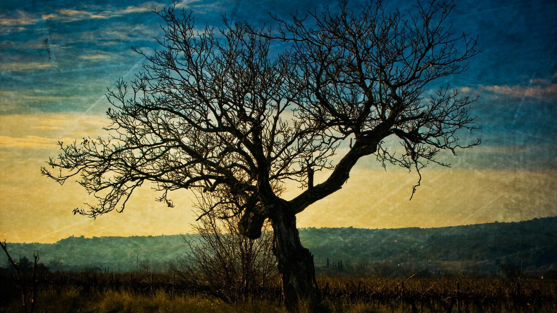 1680X1050 Widescreen Desktop Wallpapers - Top Free 1680X1050 Widescreen ...