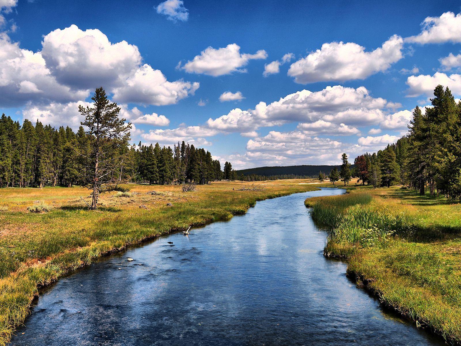 Yellowstone National Park Wallpapers - Top Free Yellowstone National ...