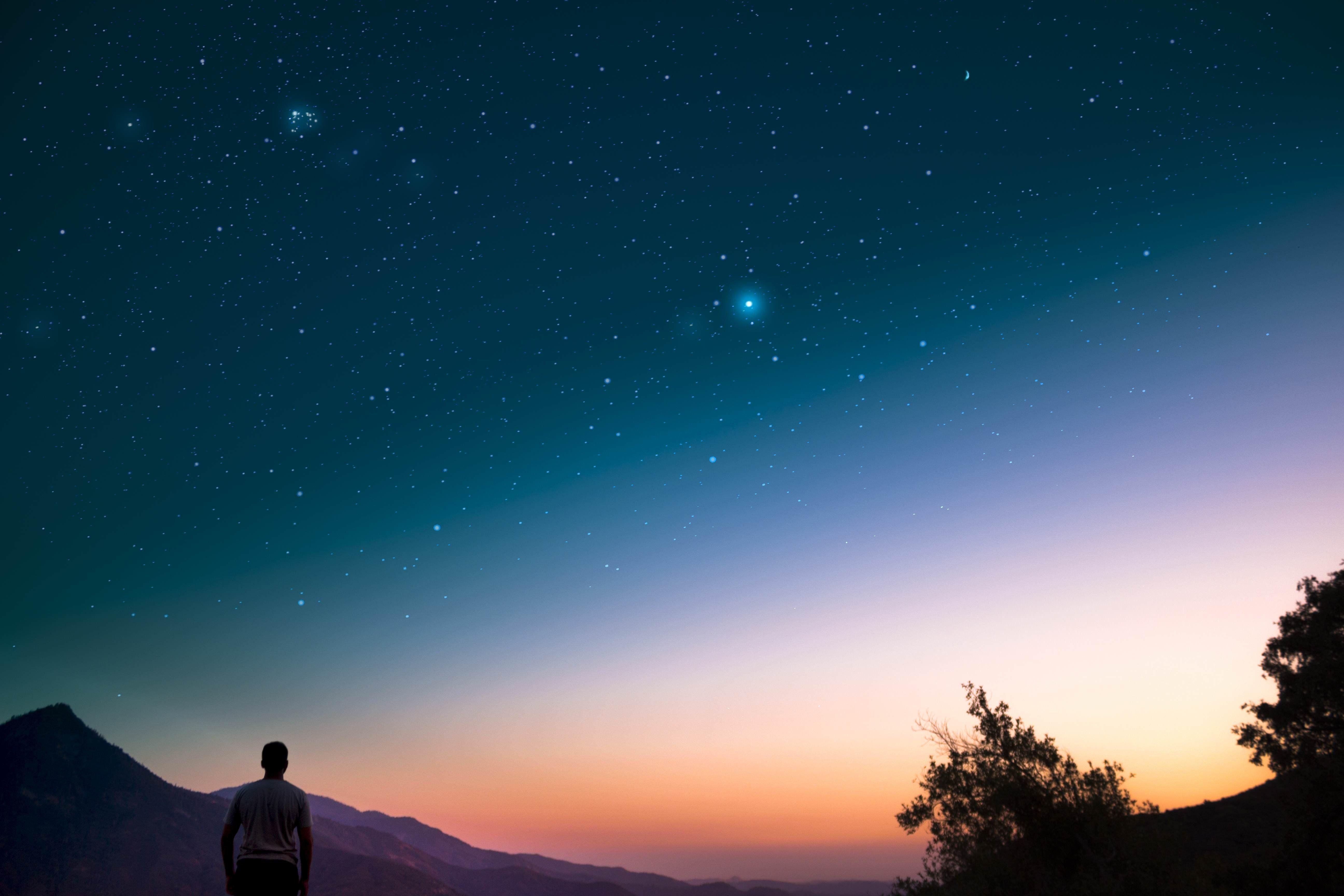 Sequoia National Park Wallpapers - Top Free Sequoia National Park ...