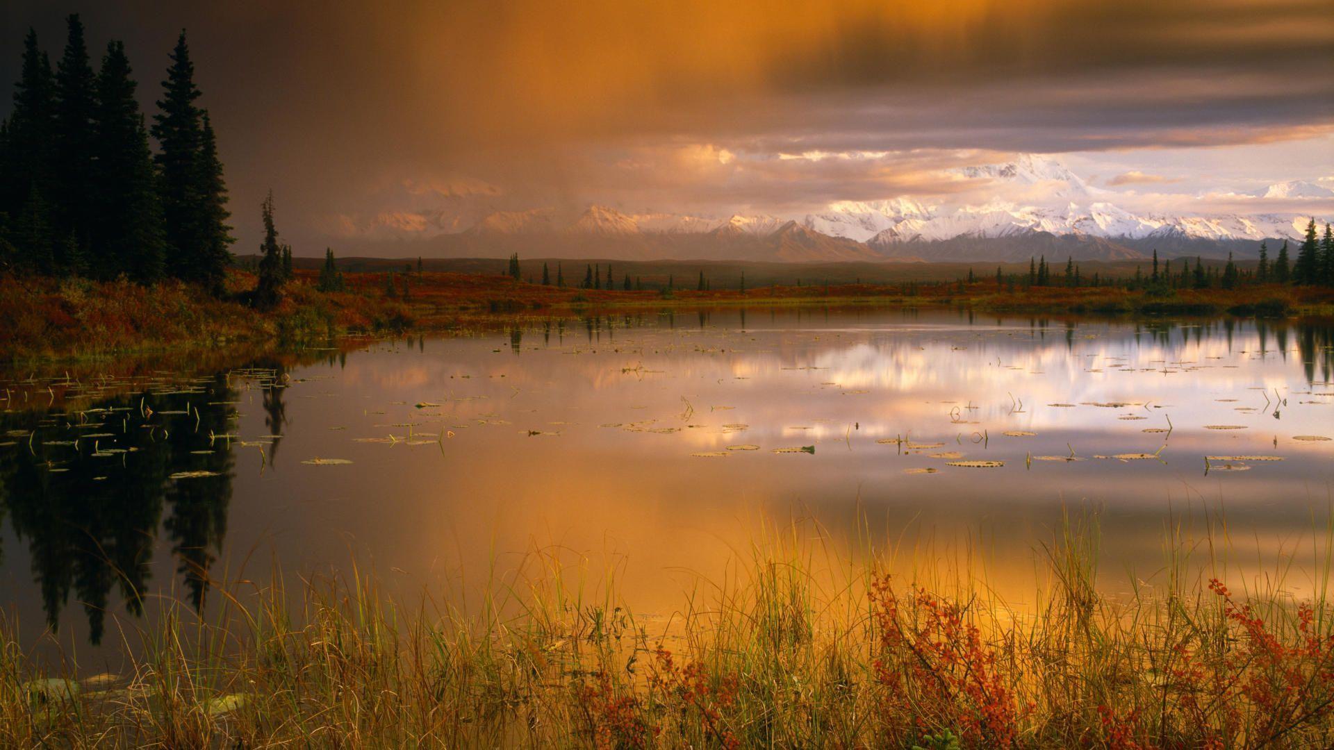 Denali National Park Wallpapers - Top Free Denali National Park ...