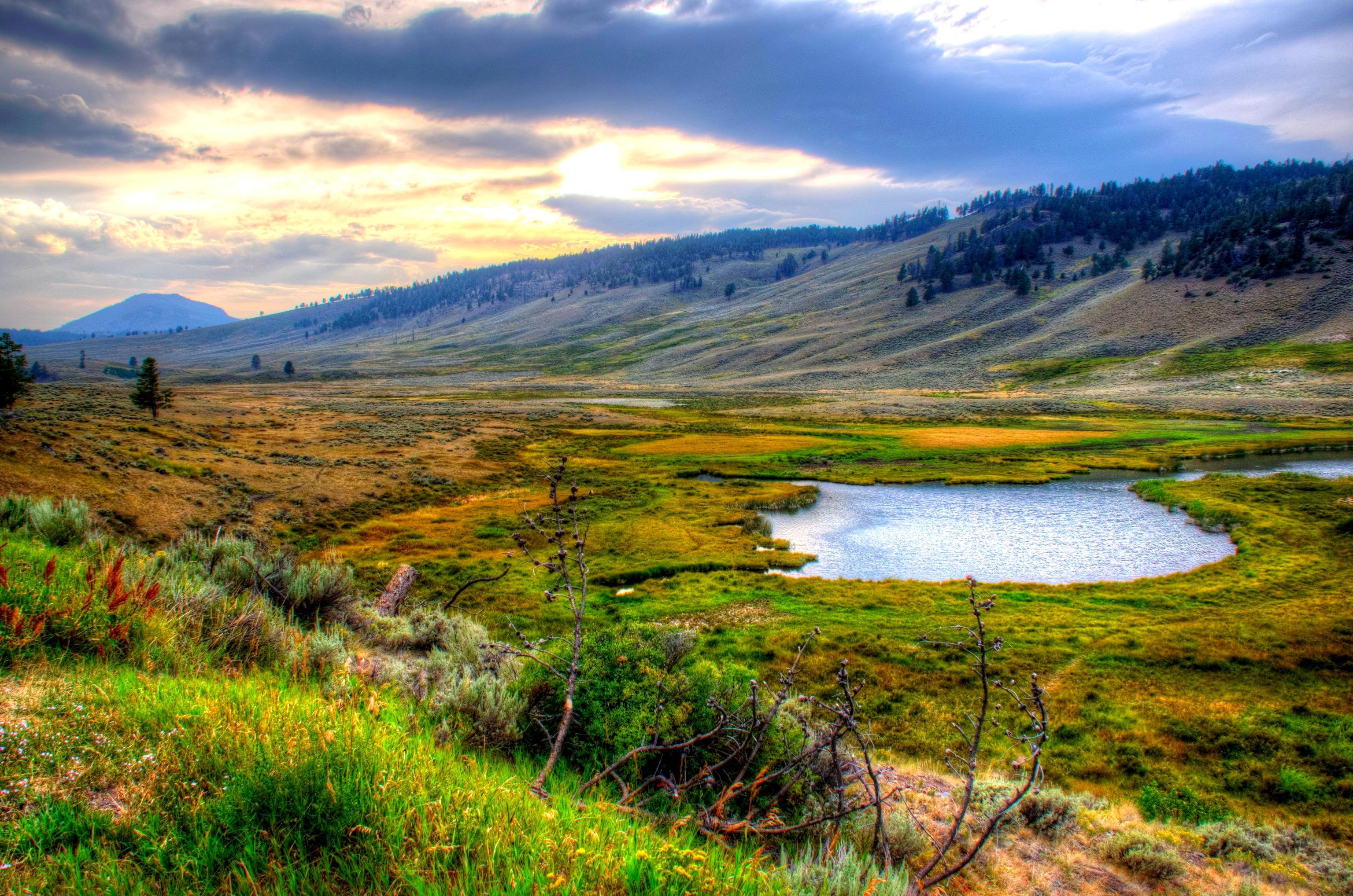 Yellowstone National Park Wallpapers - Top Free Yellowstone National ...