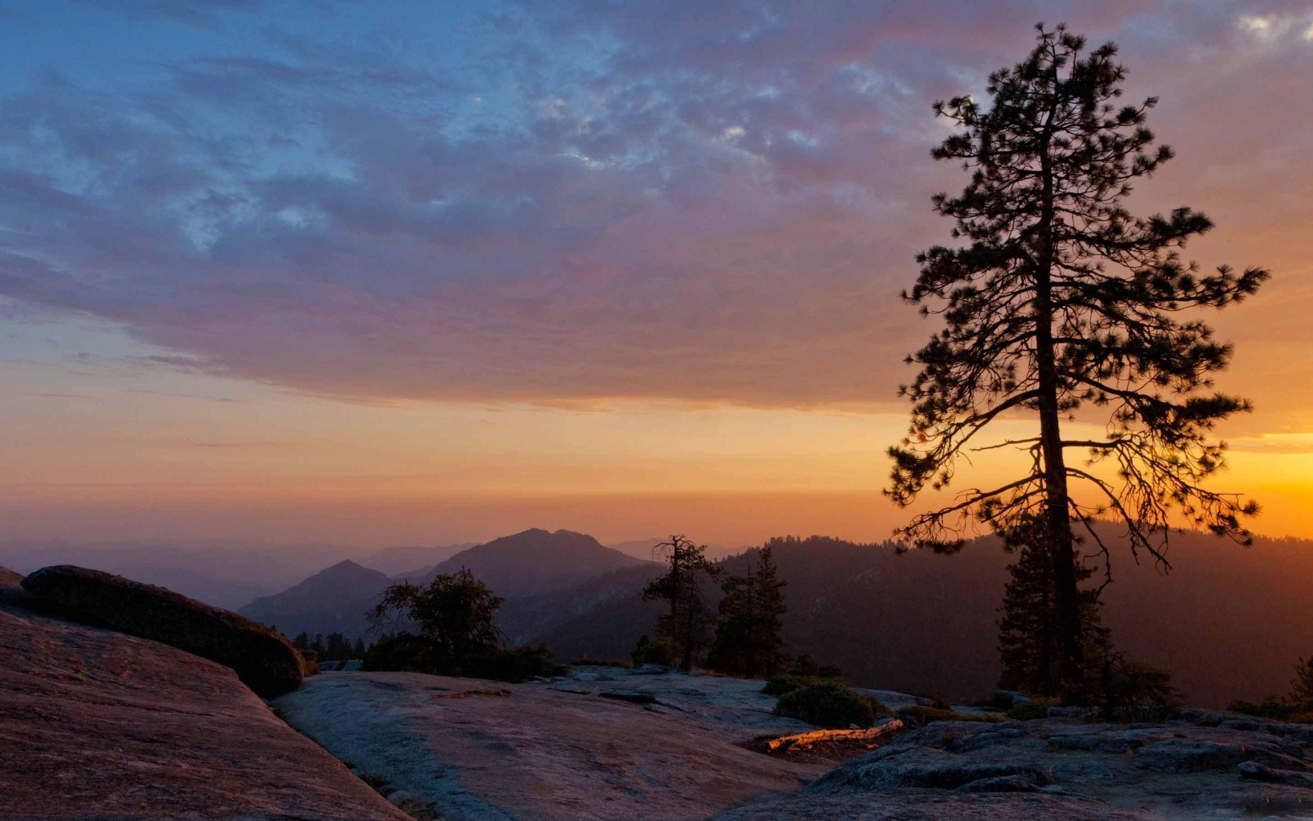 Sequoia National Park Wallpapers - Top Free Sequoia National Park ...
