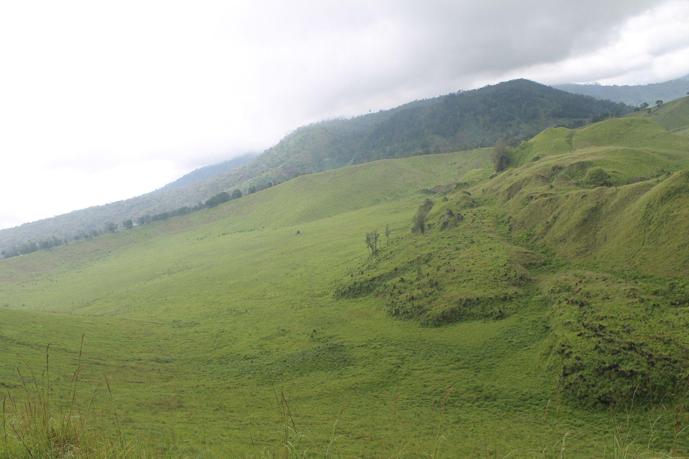 Nature 2256X1504 Wallpapers - Top Free Nature 2256X1504 Backgrounds ...