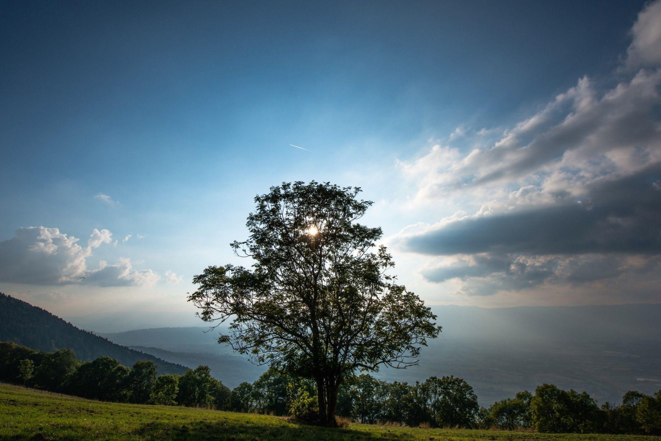 2256X1504 Cool Wallpapers - Top Free 2256X1504 Cool Backgrounds ...