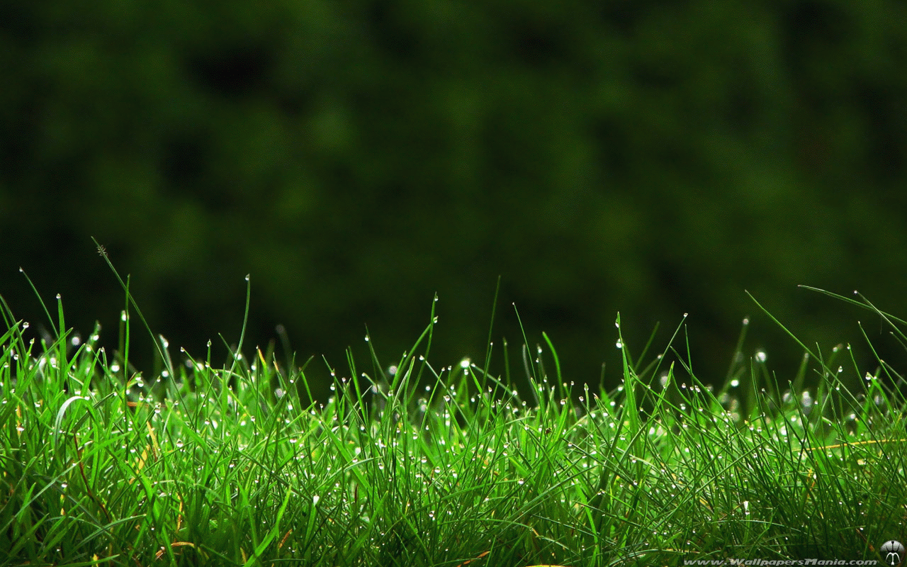 Irrigation Wallpapers - Top Free Irrigation Backgrounds - WallpaperAccess