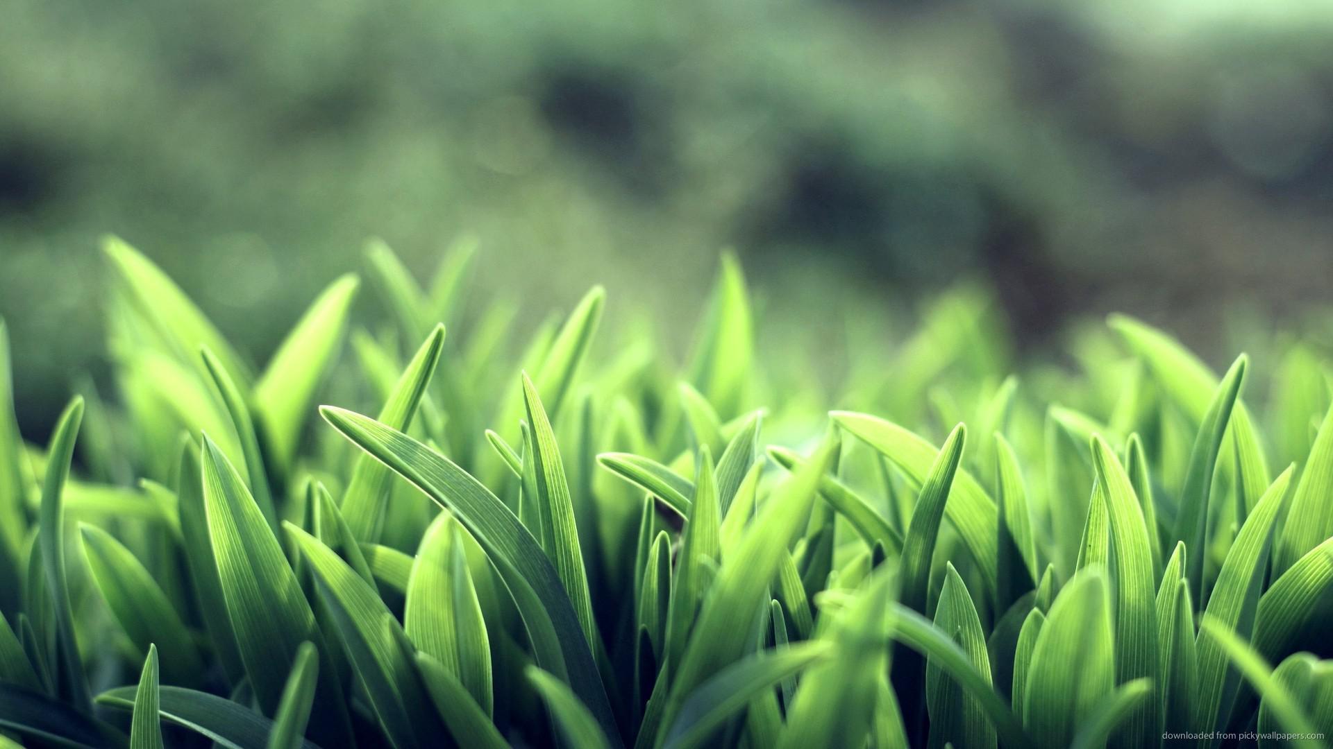 Irrigation Wallpapers - Top Free Irrigation Backgrounds - WallpaperAccess