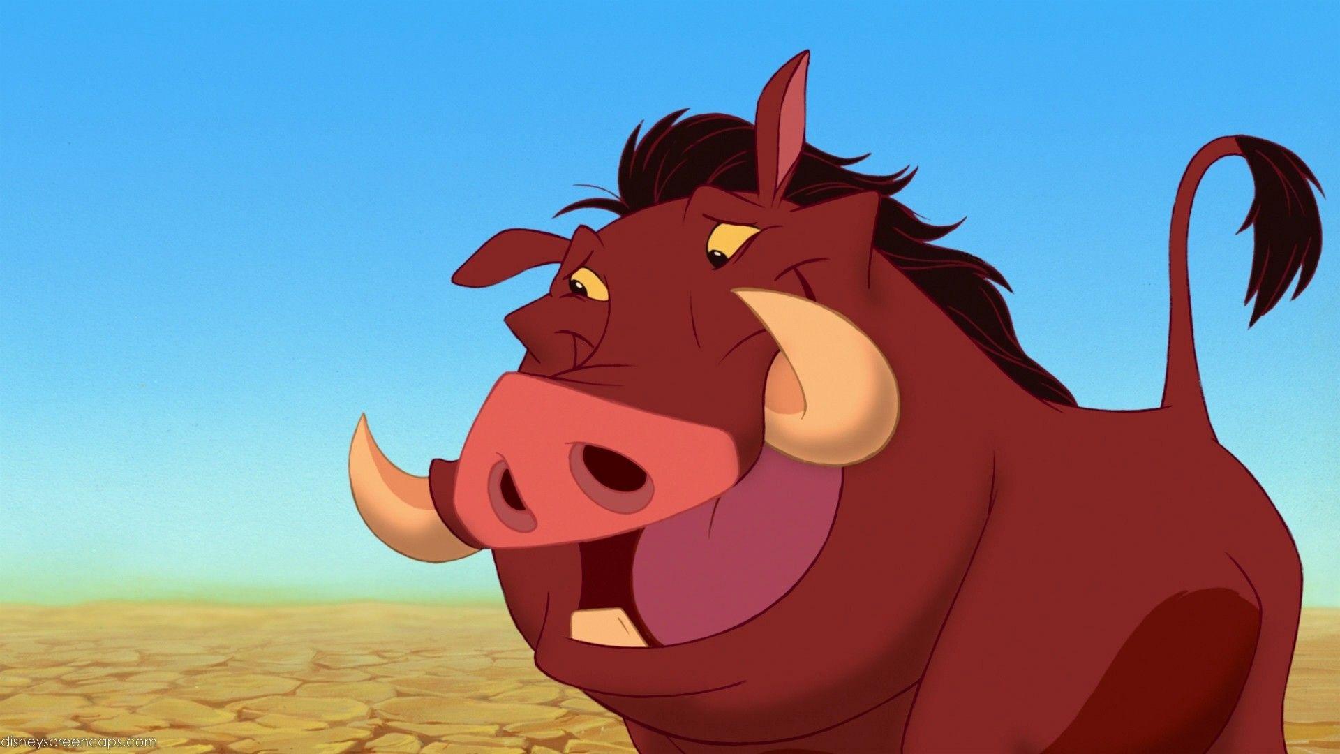 Pumba Wallpapers - Top Free Pumba Backgrounds - WallpaperAccess
