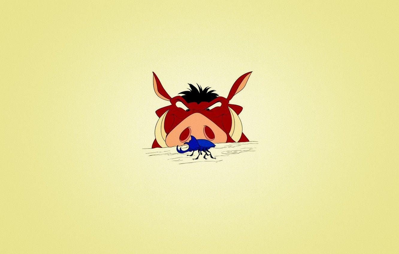 Timon and Pumbaa Wallpapers - Top Free Timon and Pumbaa Backgrounds ...
