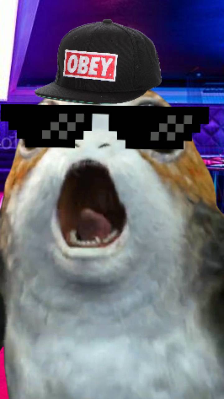 Porg Wallpapers - Top Free Porg Backgrounds - WallpaperAccess