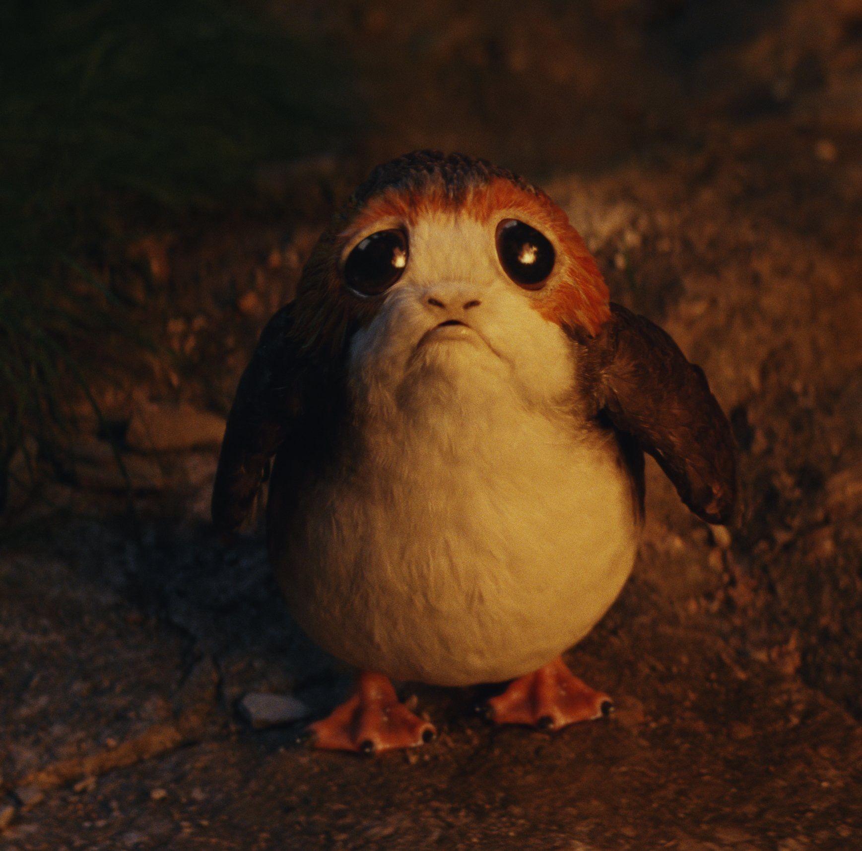 Porg Star Wars Wallpapers - Top Free Porg Star Wars Backgrounds ...