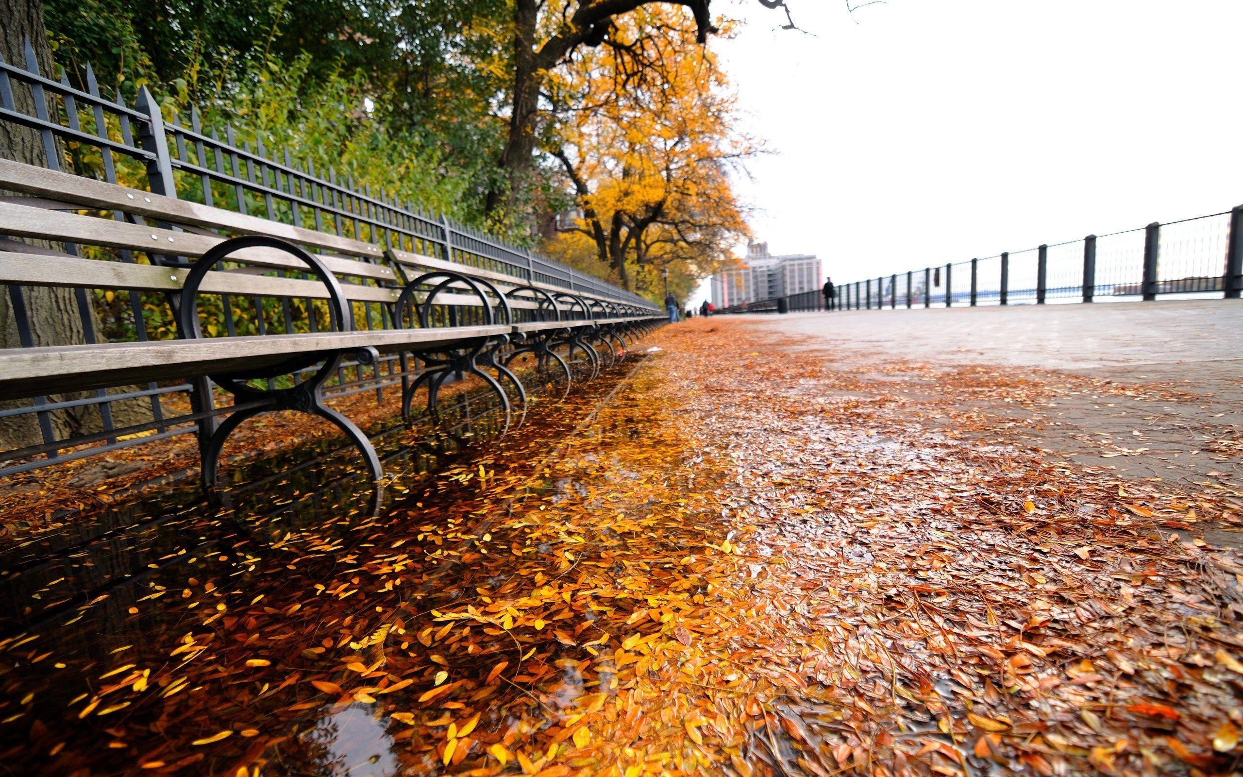 Fall City Wallpapers - Top Free Fall City Backgrounds - WallpaperAccess