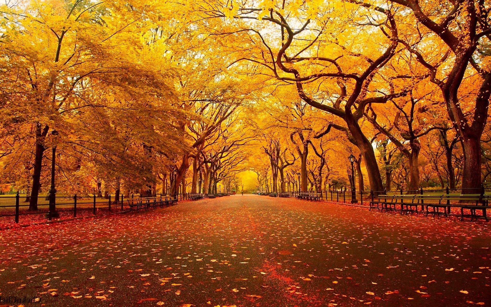 New York City Fall Wallpapers - Top Free New York City Fall Backgrounds ...