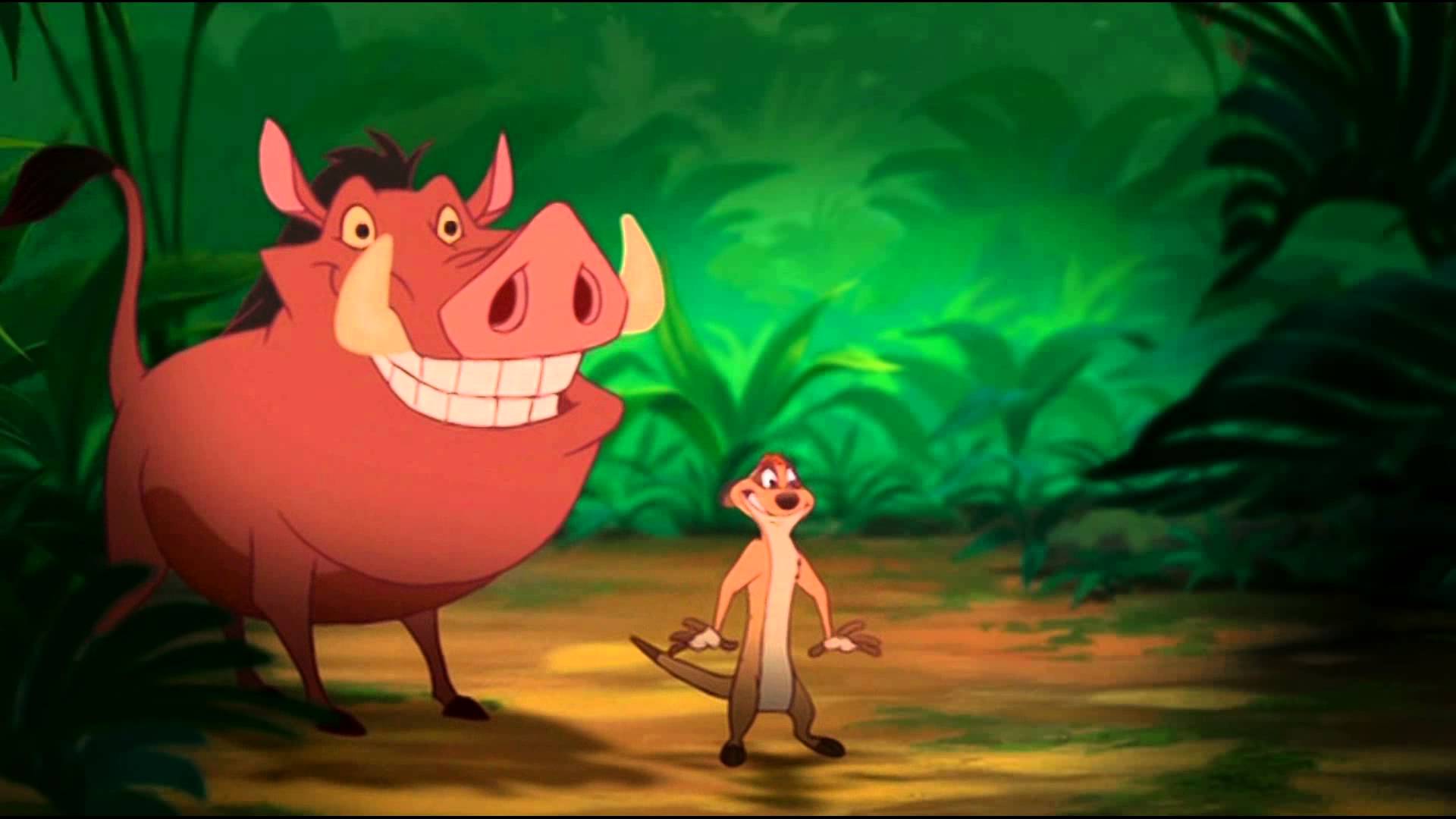 Pumba Wallpapers - Top Free Pumba Backgrounds - WallpaperAccess