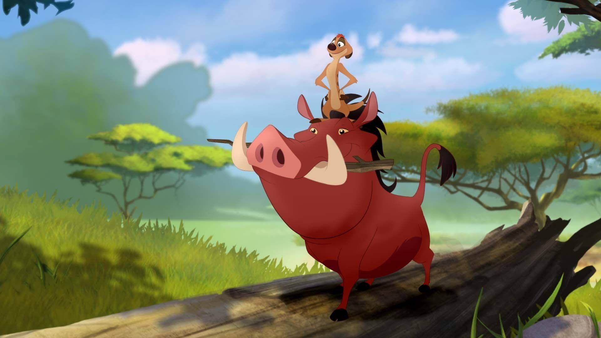 Pumba Wallpapers - Top Free Pumba Backgrounds - WallpaperAccess
