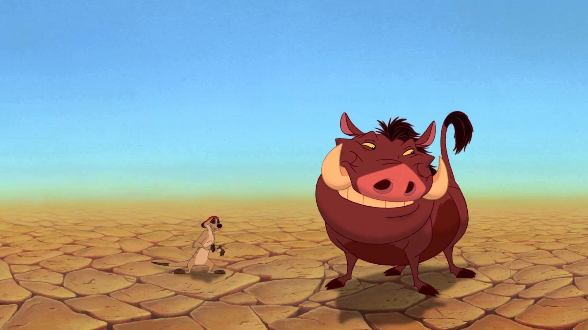 Pumba Wallpapers - Top Free Pumba Backgrounds - WallpaperAccess