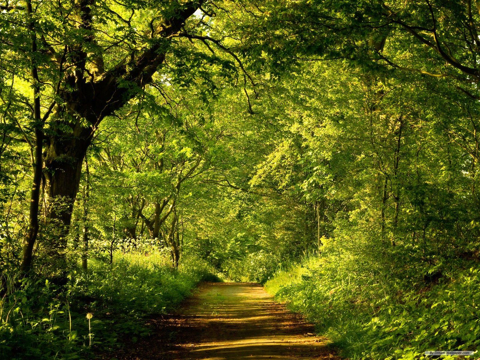 1600 X 1200 Wallpapers - Top Free 1600 X 1200 Backgrounds - WallpaperAccess