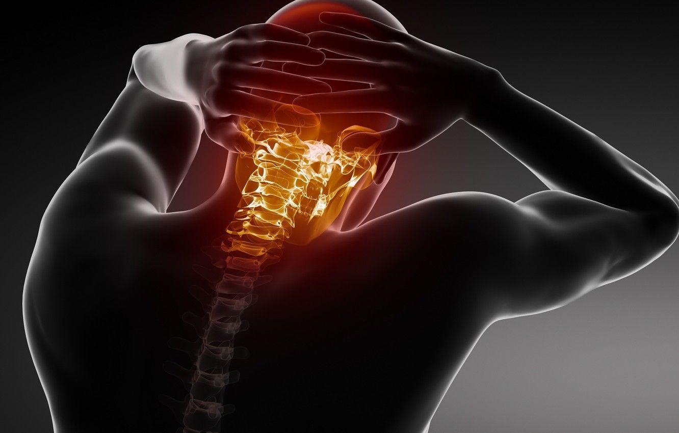 Backbone Wallpapers - Top Free Backbone Backgrounds - WallpaperAccess