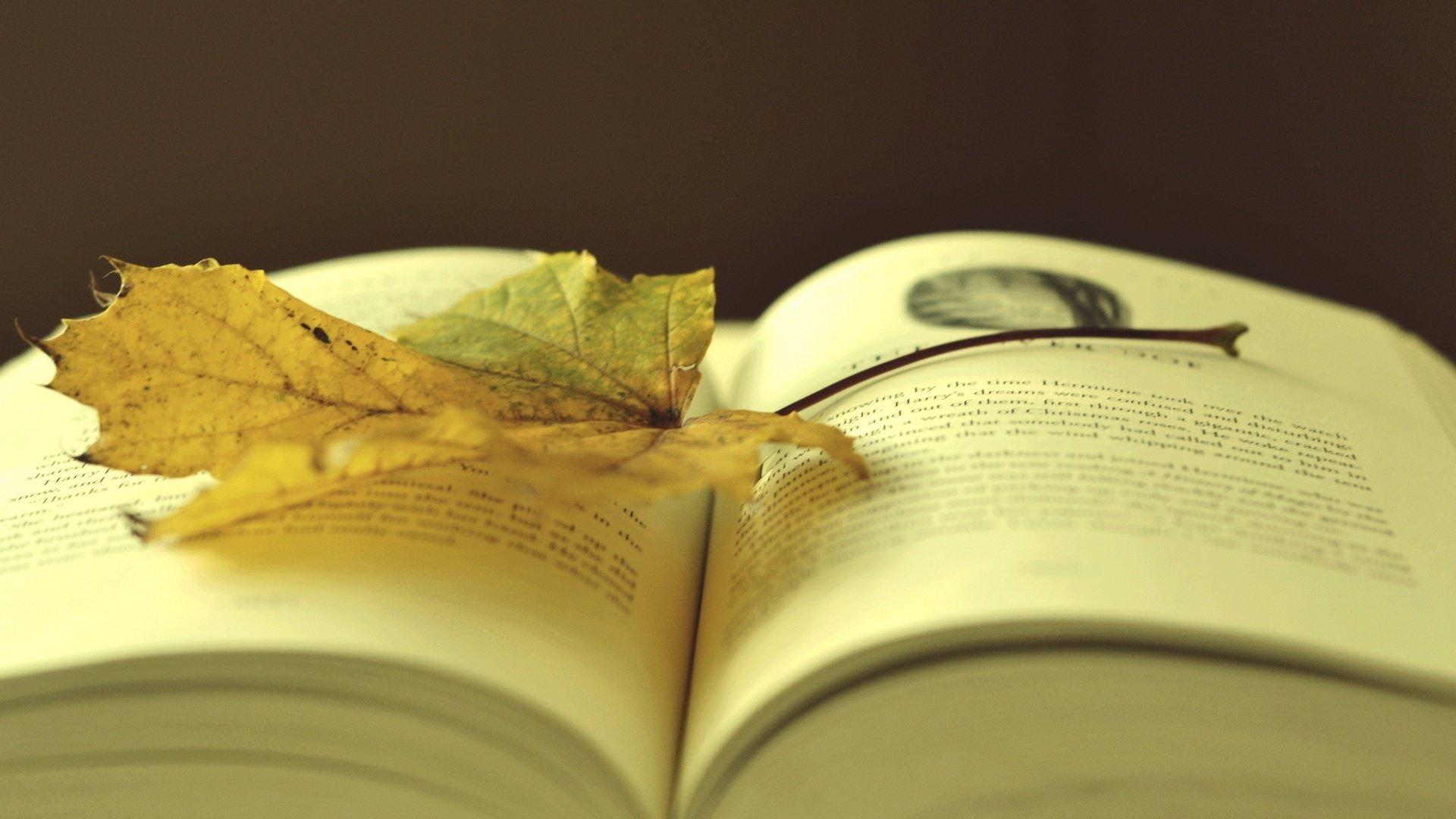 High Resolution Book Wallpapers - Top Free High Resolution Book ...